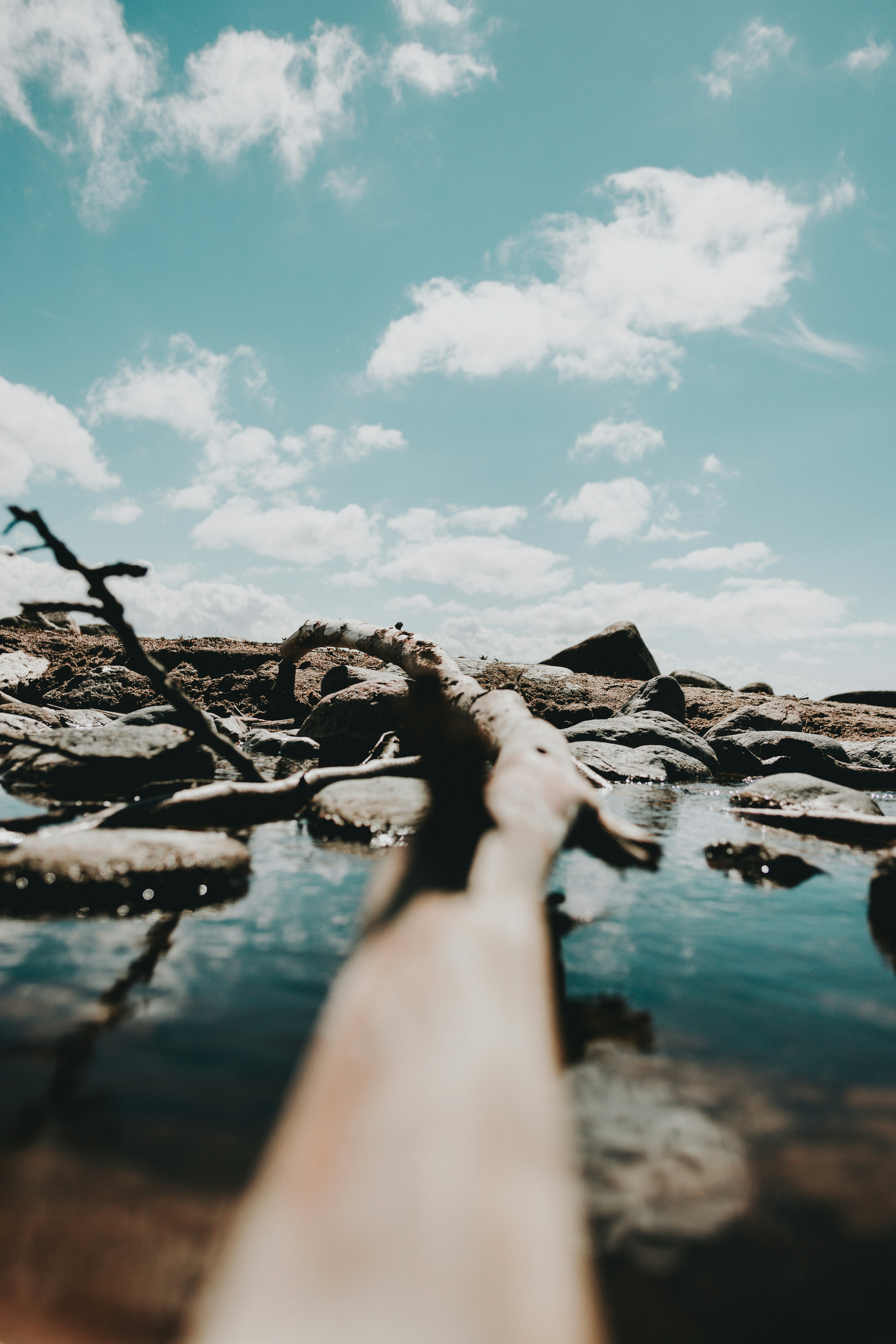 Driftwood Timeline: A Log Reaches Toward the Clouds Across a Rocky Tide