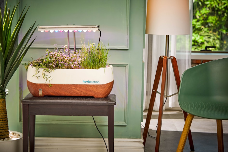 What's the Best AI-Enhanced Indoor Smart Gardens in 2026? | Best in 2026