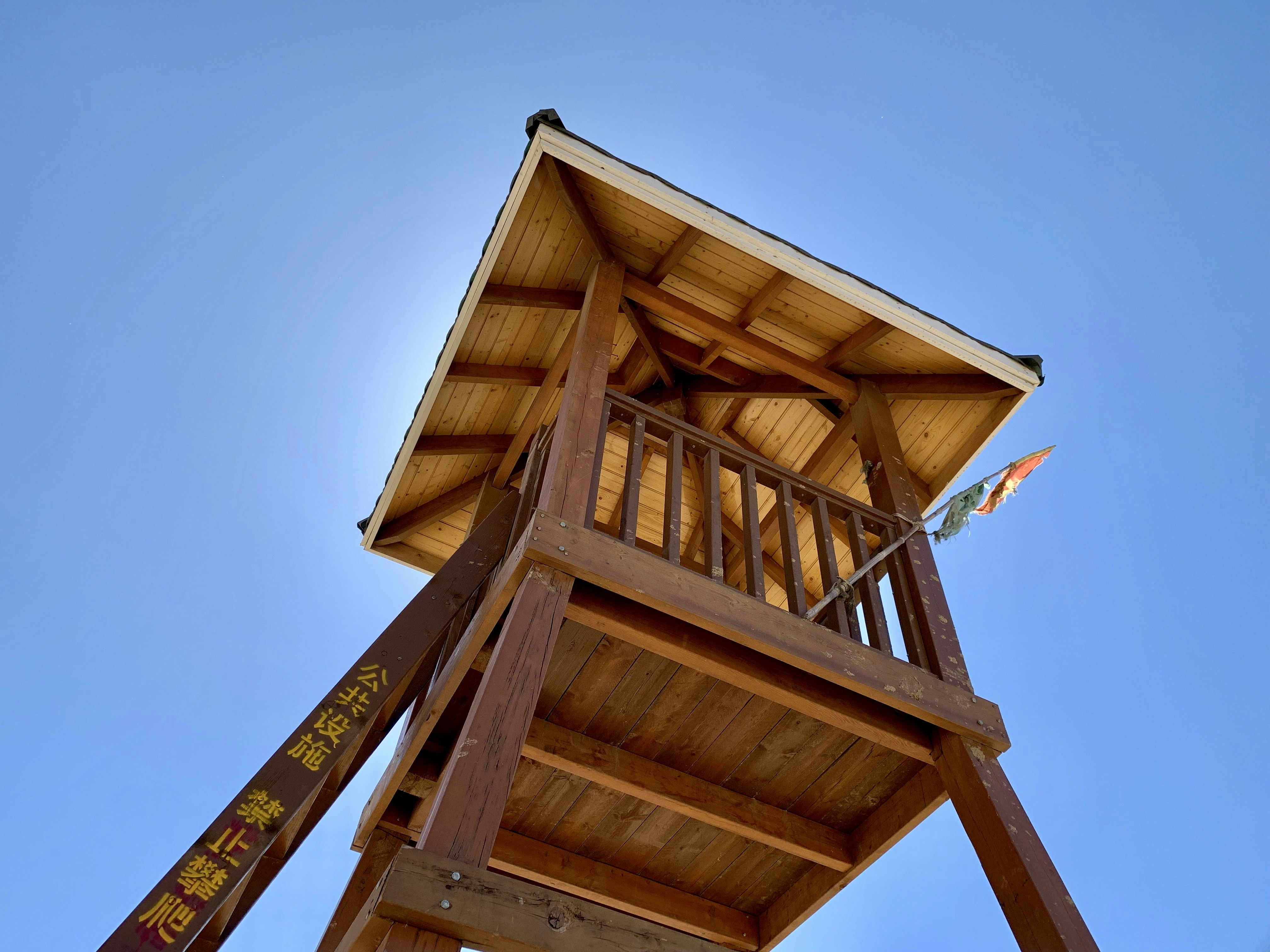 Timber Sentinel: A Skyward View from a Mountain Lookout Tower