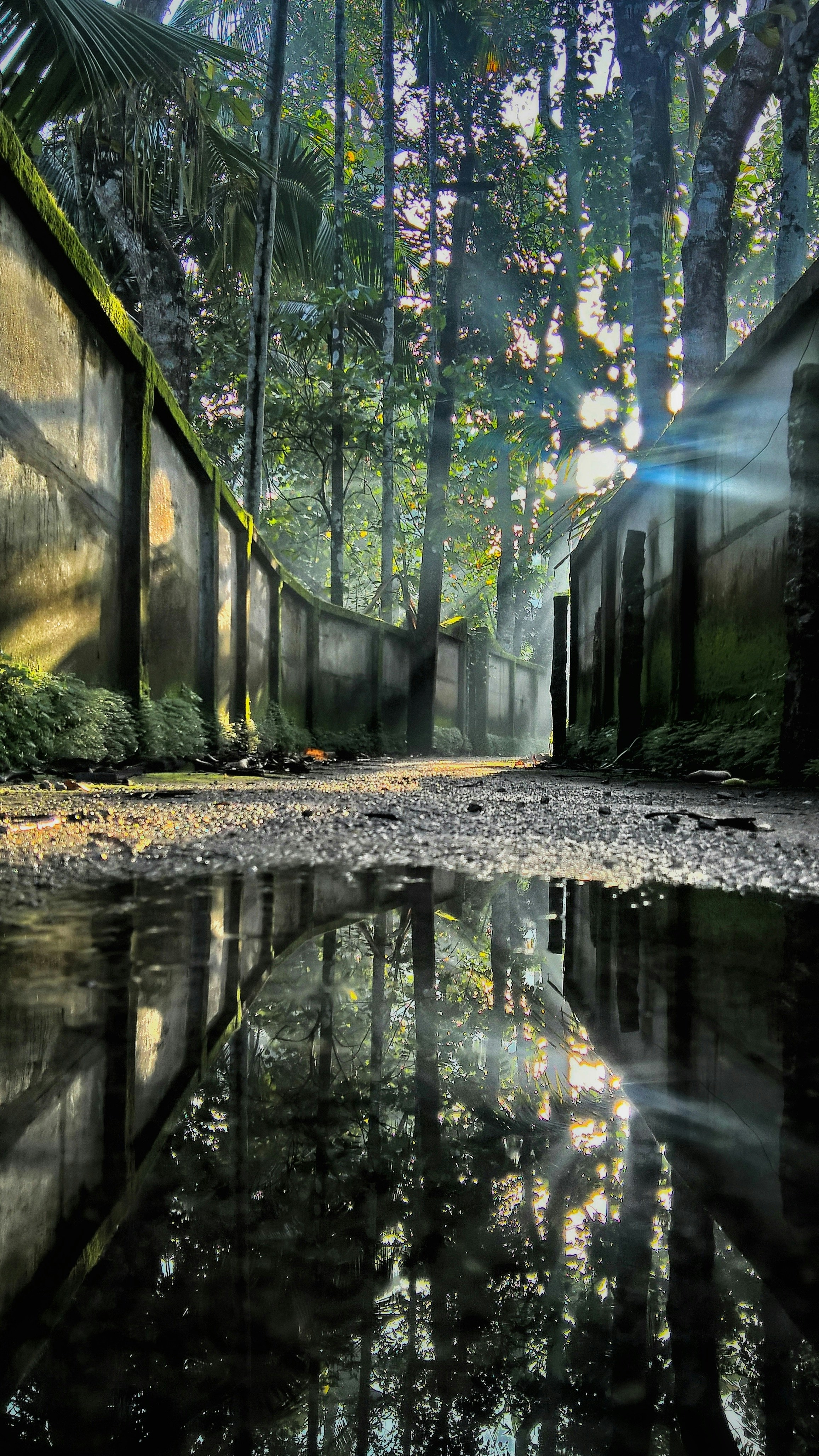 Sample photo from Microsoft Lumia 640 XL