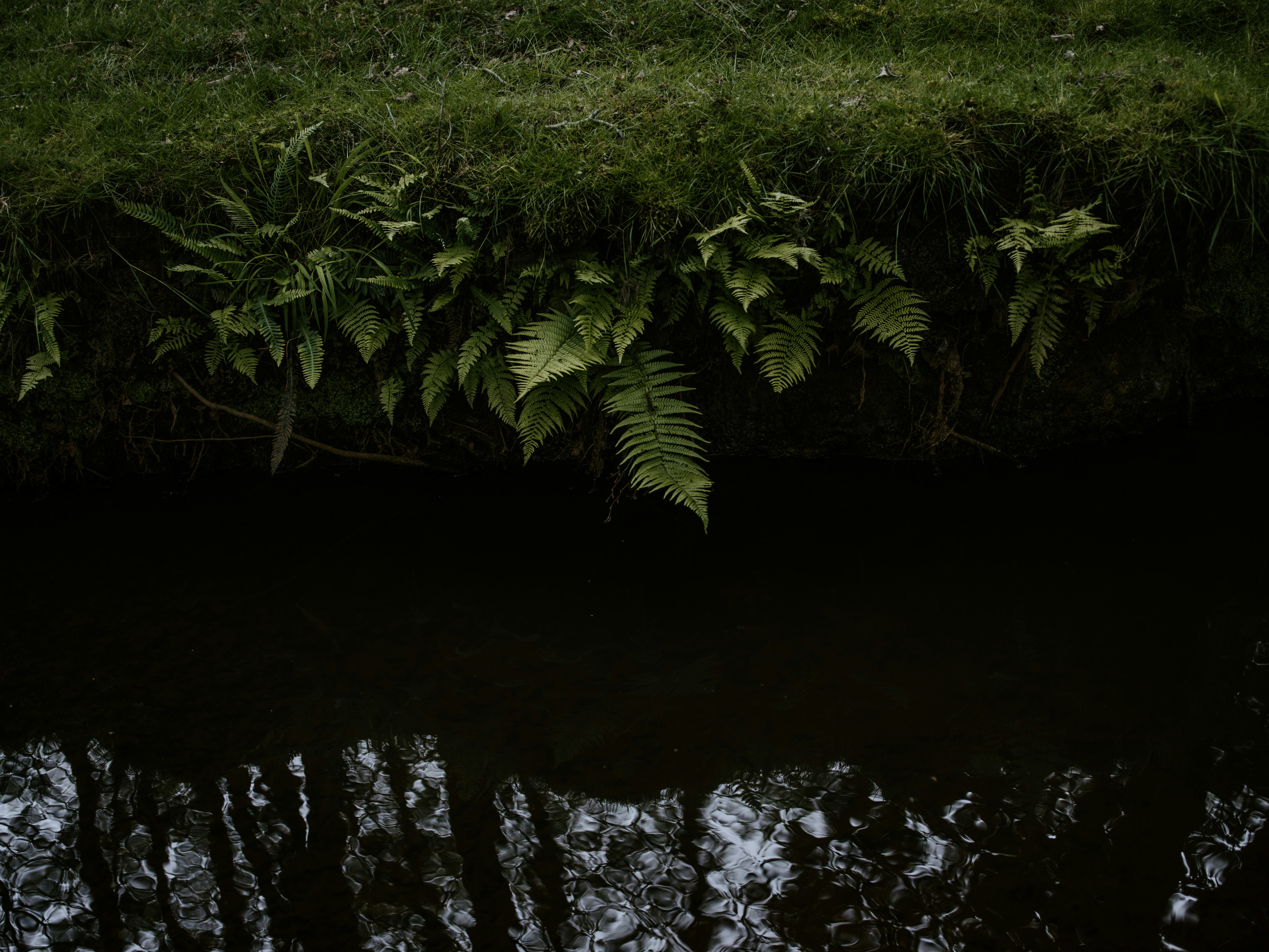 Milieu Pictures | Download Free Images on Unsplash