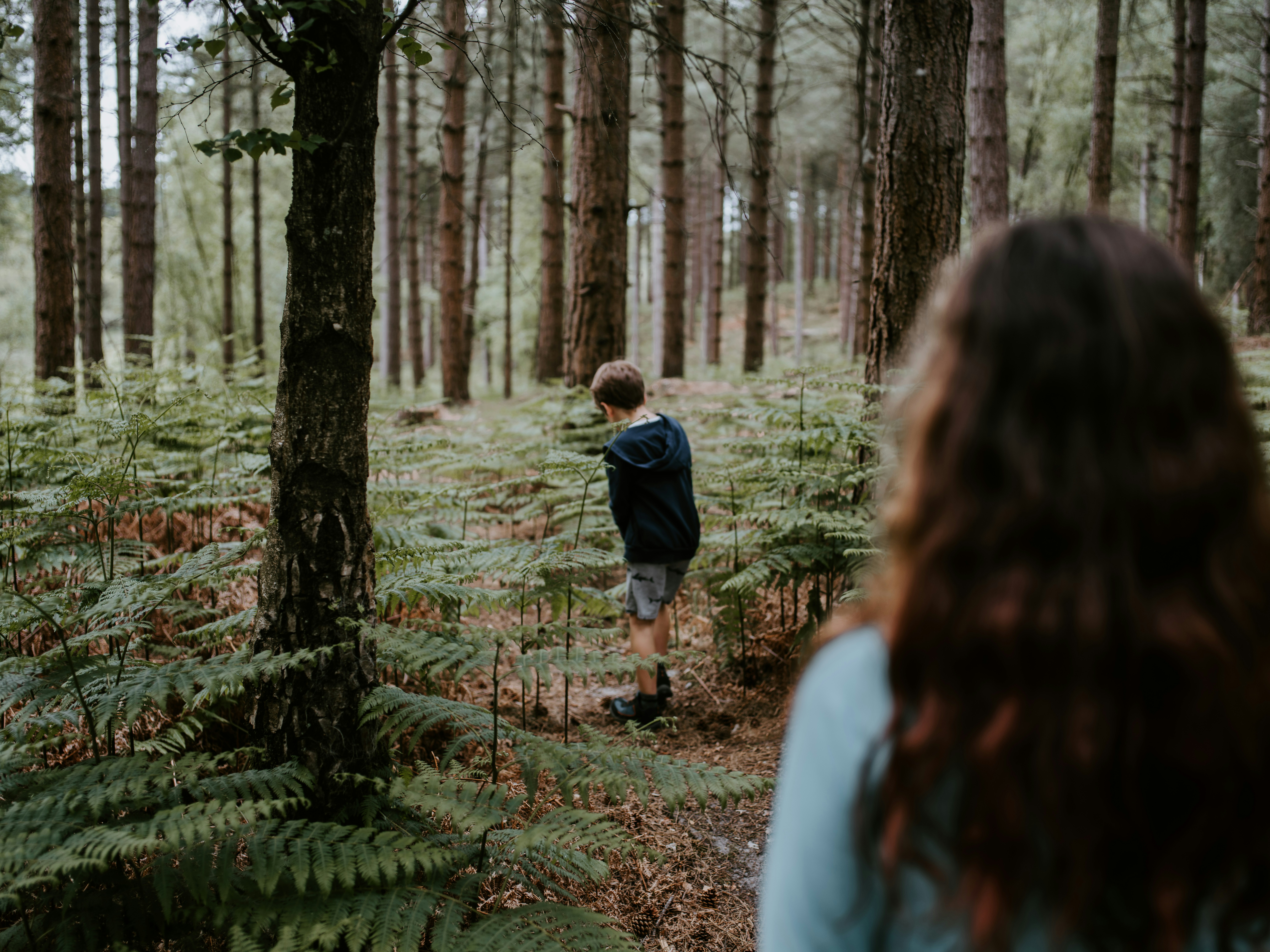 Person In Forest Pictures | Download Free Images on Unsplash