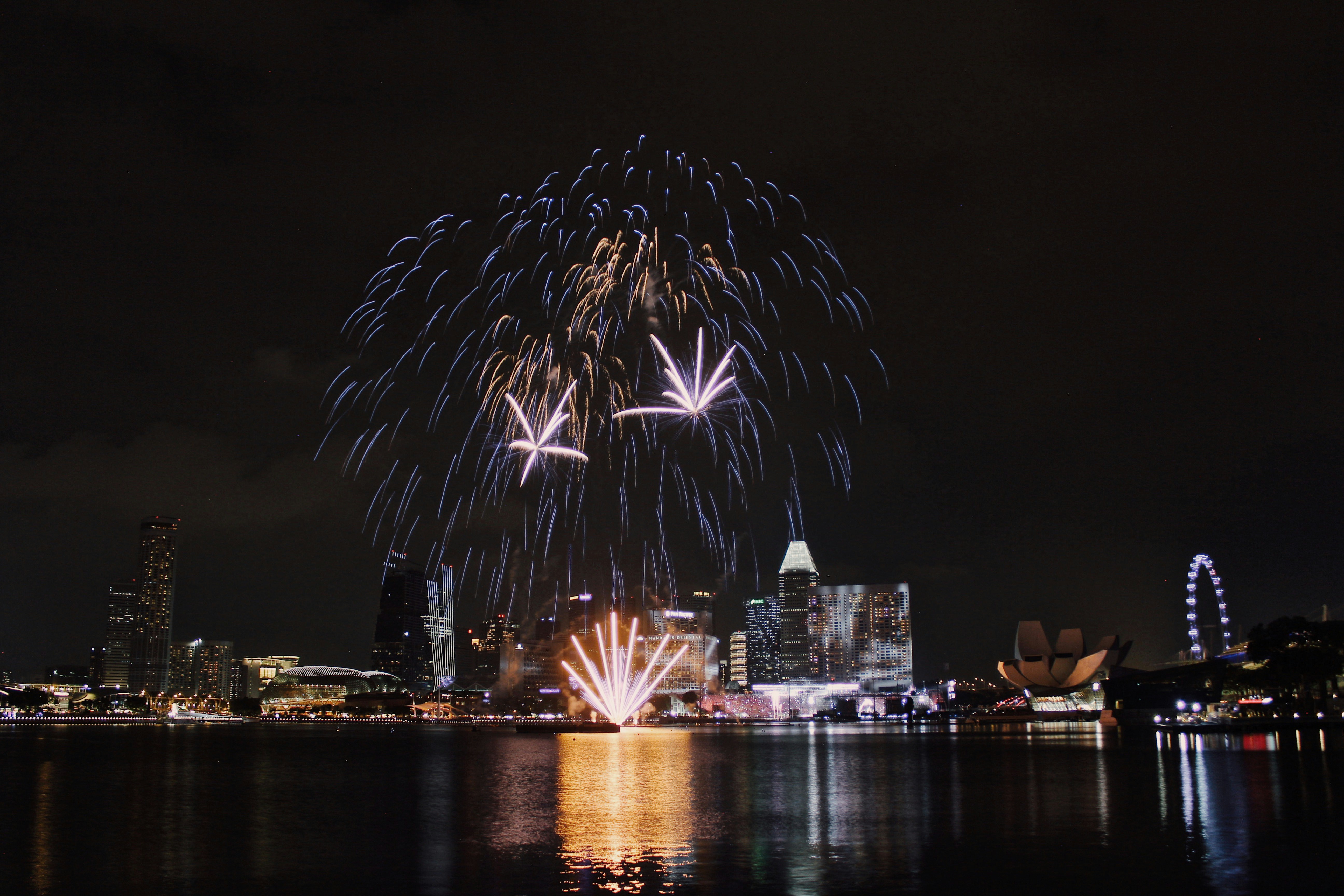 Midnight Bloom Over the Marina: Fireworks Against a Neon Skyline