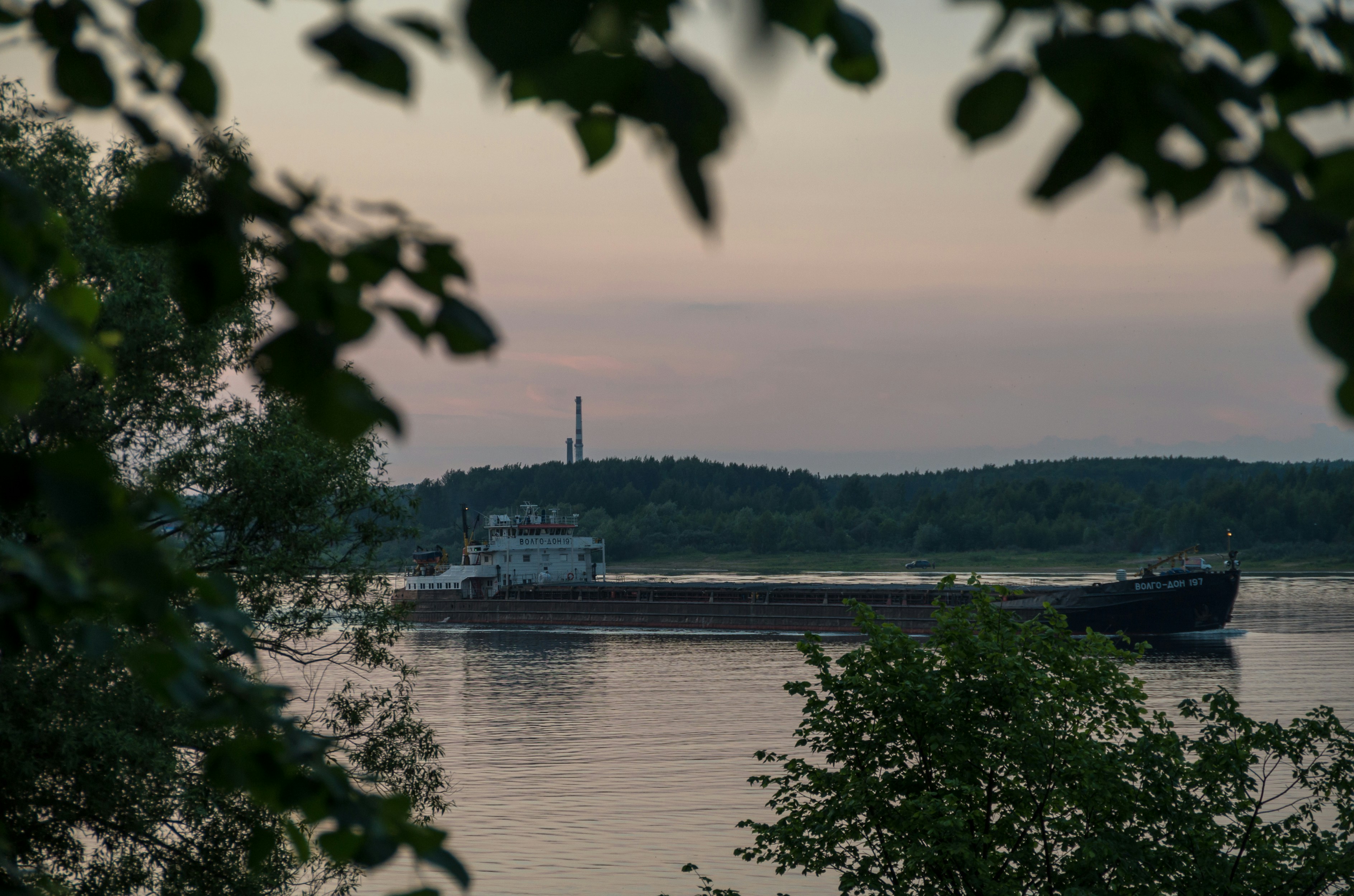 Cargo ship gliding along the Volga River at dusk, framed by silhouetted foliage.