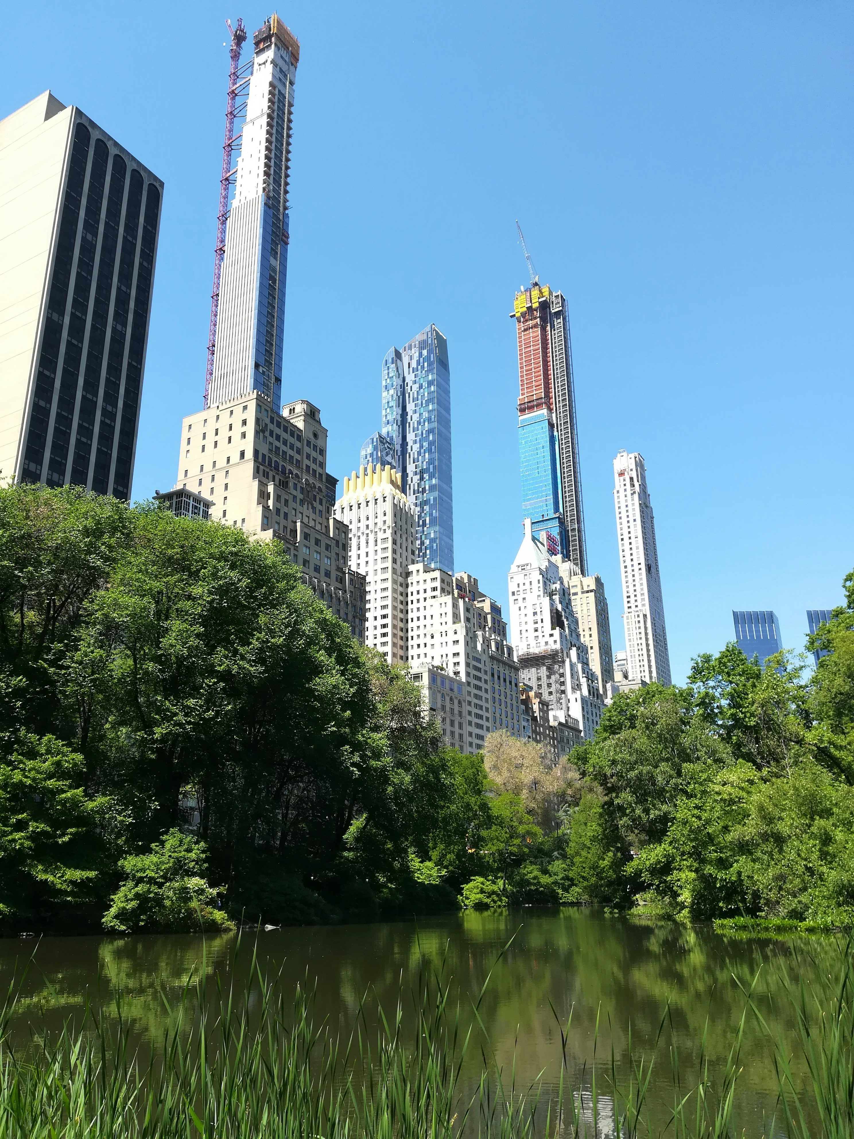Lush greenery surrounding a tranquil pond with towering skyscrapers reflecting in the water. A seamless blend of nature and urban architecture.