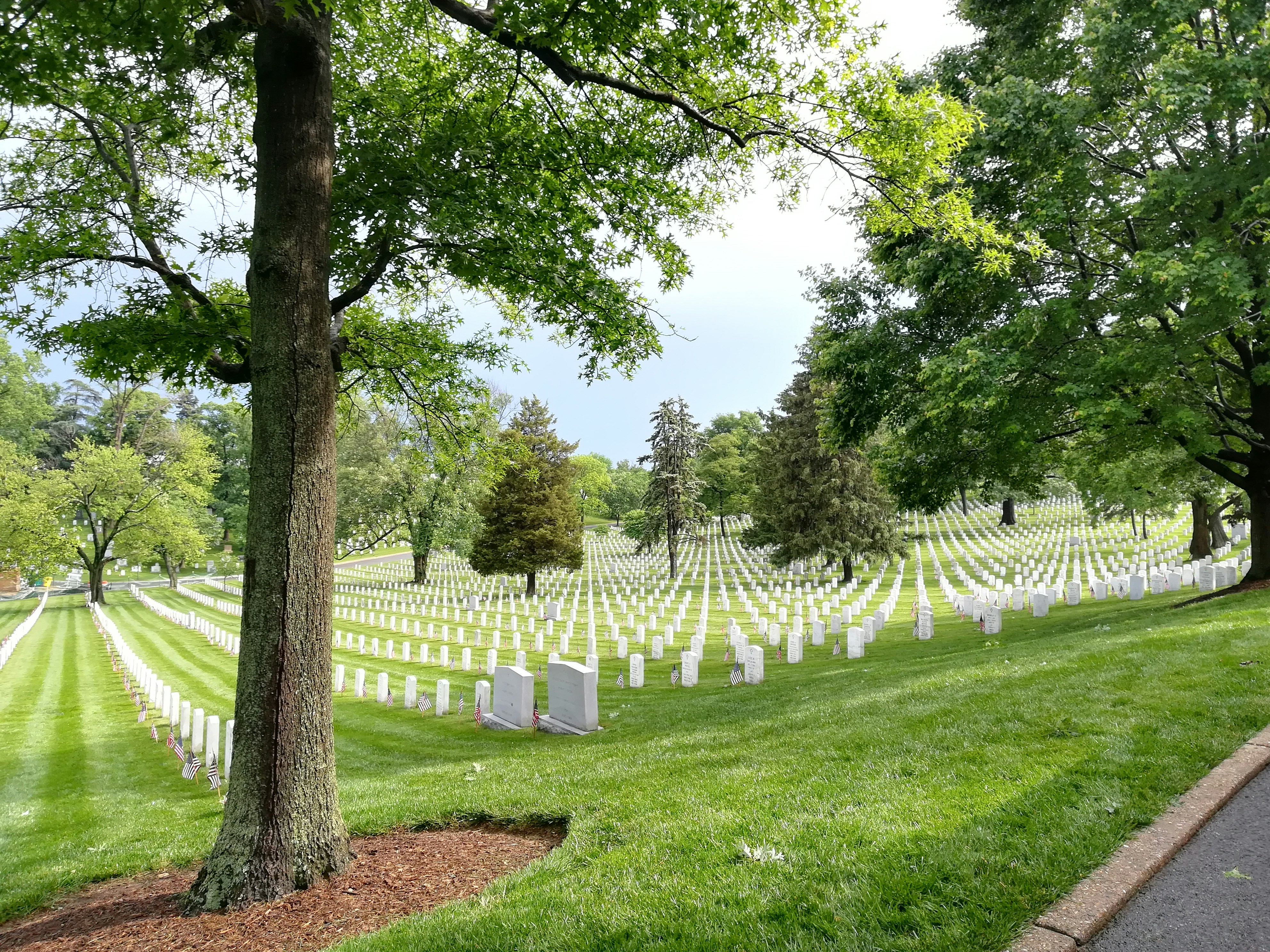 Rows of white headstones on a lush, green cemetery lawn, shaded by tall trees.