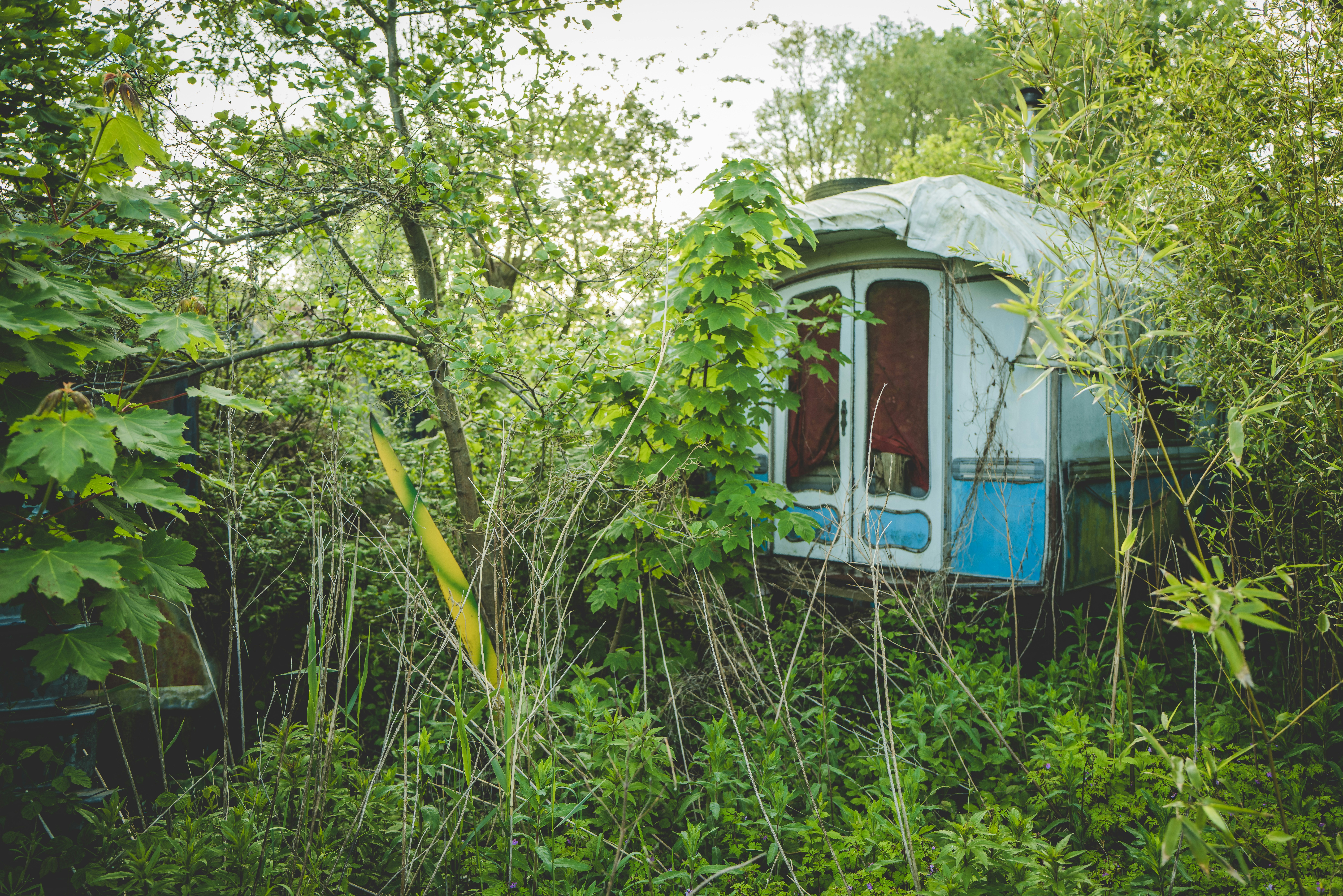 A blue train car sitting in the middle of a forest photo – Free ...