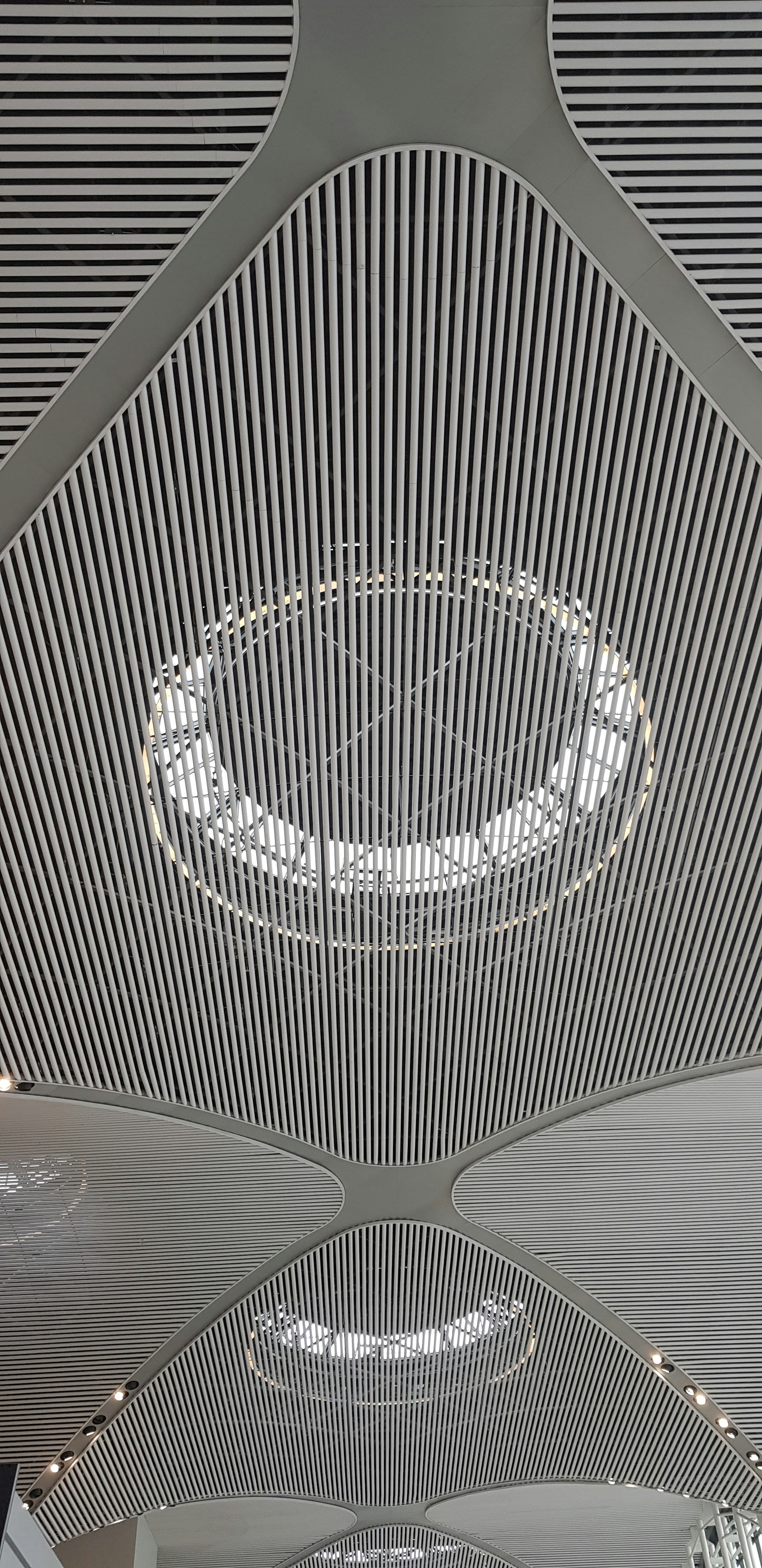 Interior ceiling of a modern atrium features tightly spaced vertical slats forming curved arches around circular skylights. The geometric repetition emphasizes texture and light diffusion.