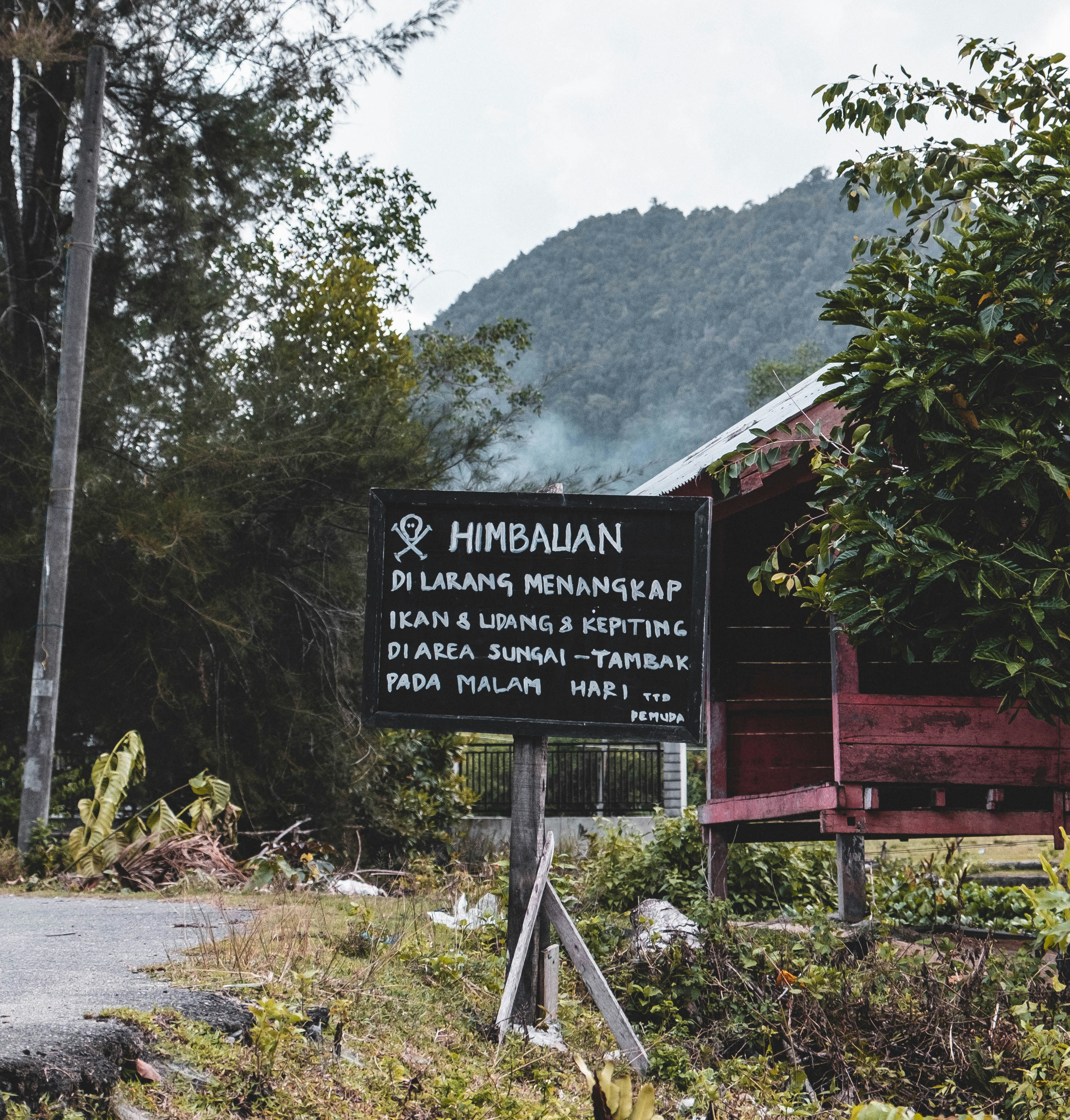 A wooden signboard displaying a warning against fishing and trapping at night, set against a lush green backdrop of mountains and trees.