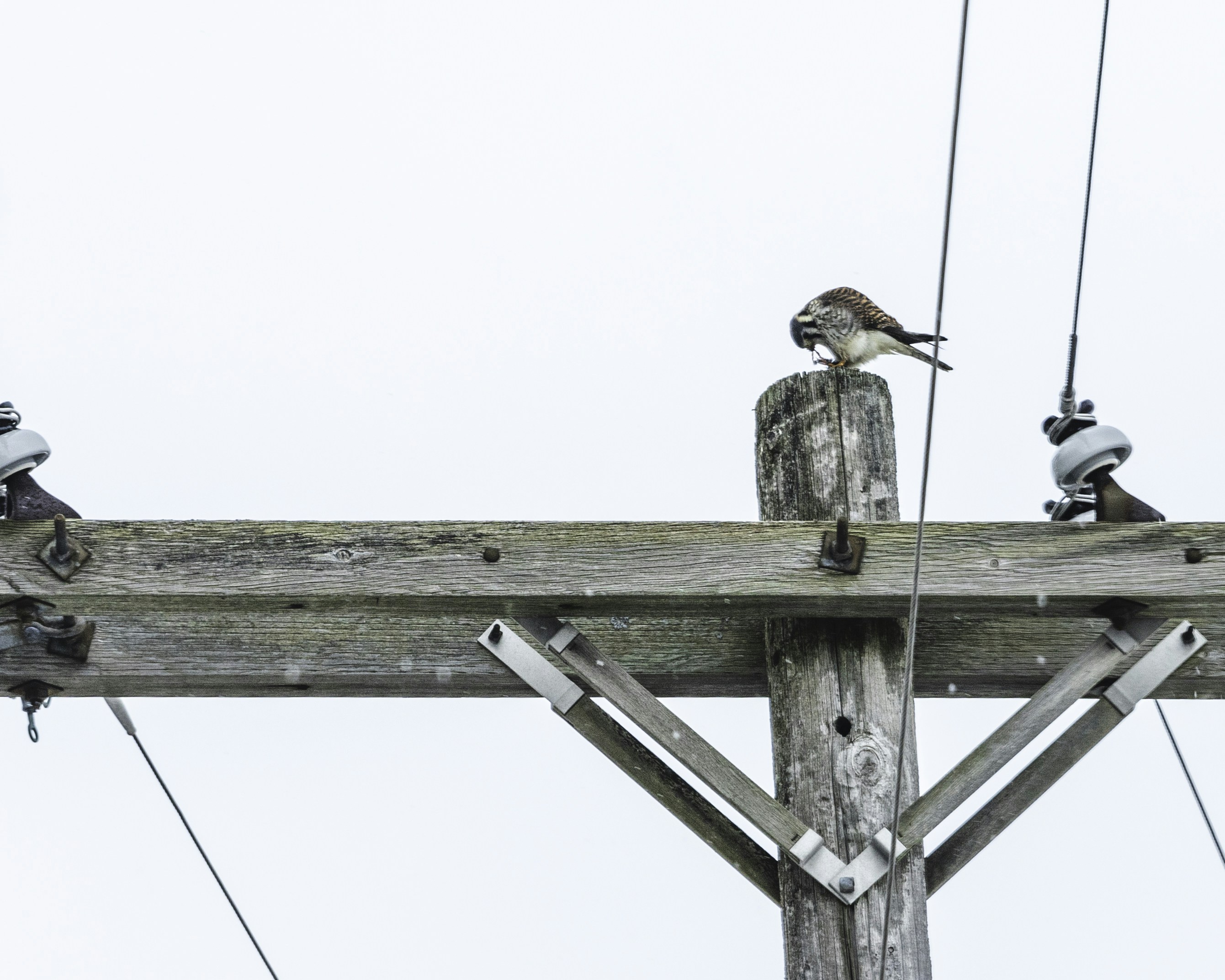 TC Conner (@tcfromky) | Unsplash Photo Community