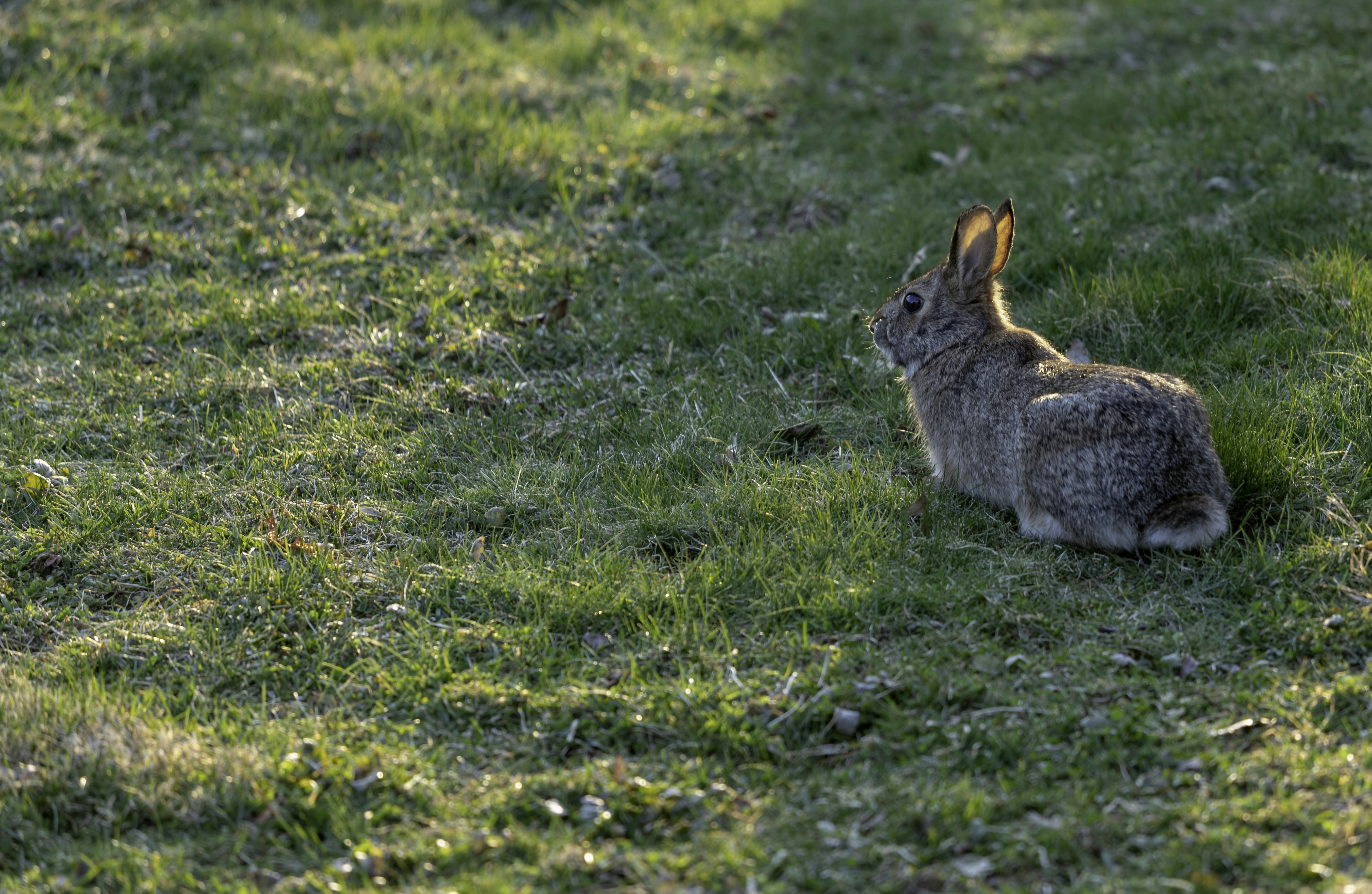 TC Conner (@tcfromky) | Unsplash Photo Community