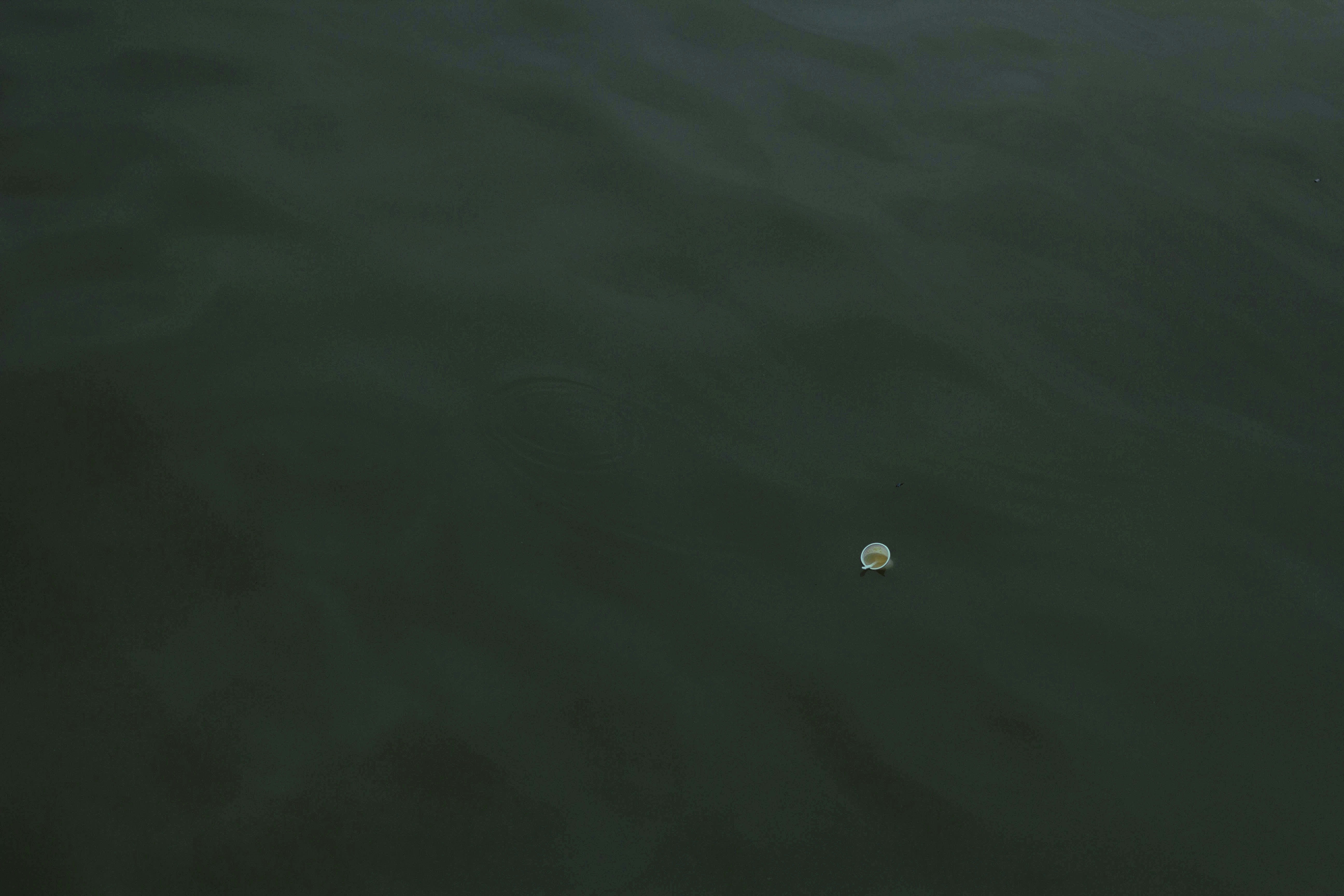 A white object floating on top of a body of water photo – Free Grey ...