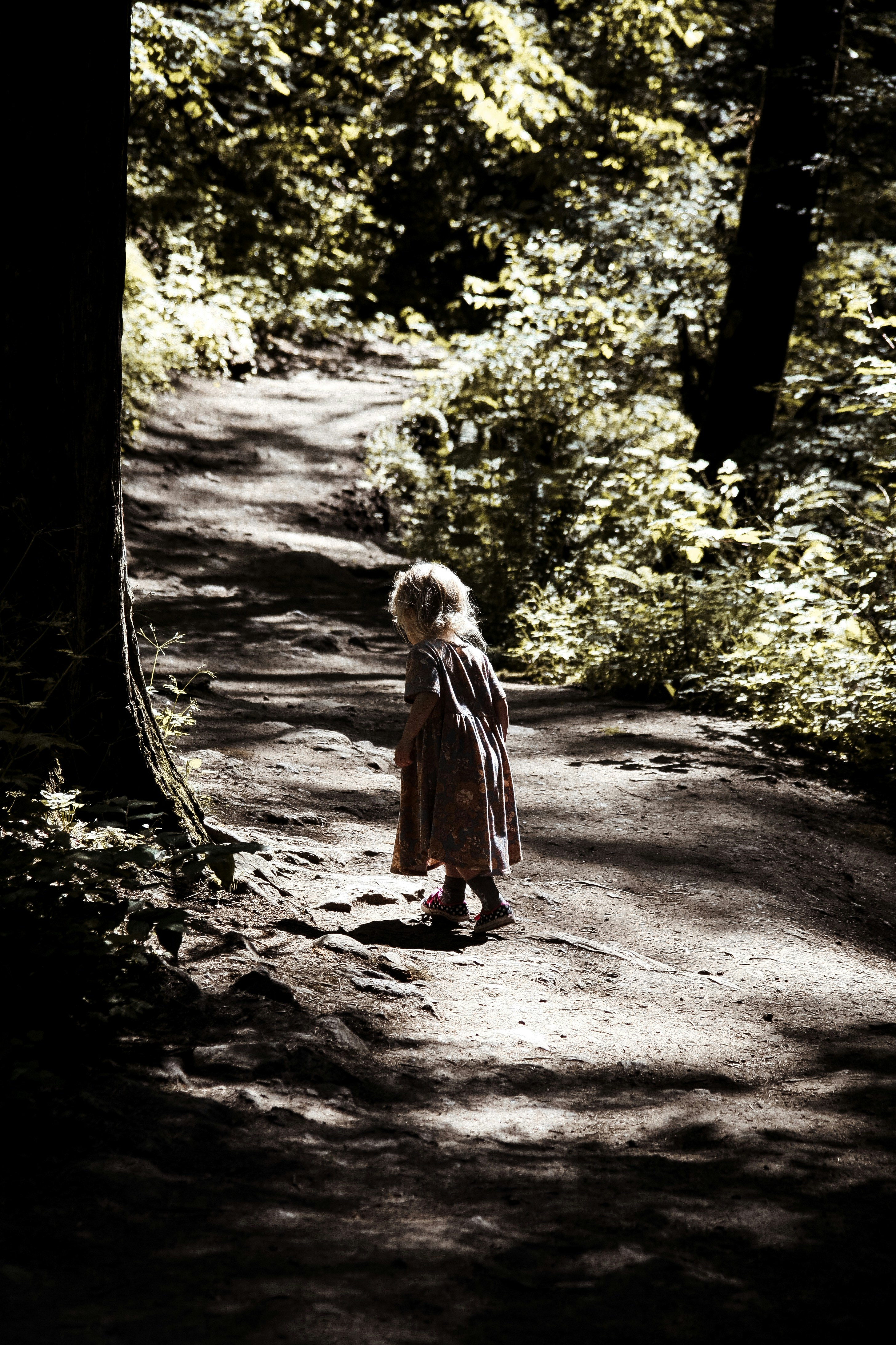 A young child walks along a winding forest trail, surrounded by lush greenery and dappled sunlight. The scene captures a moment of exploration and innocence.