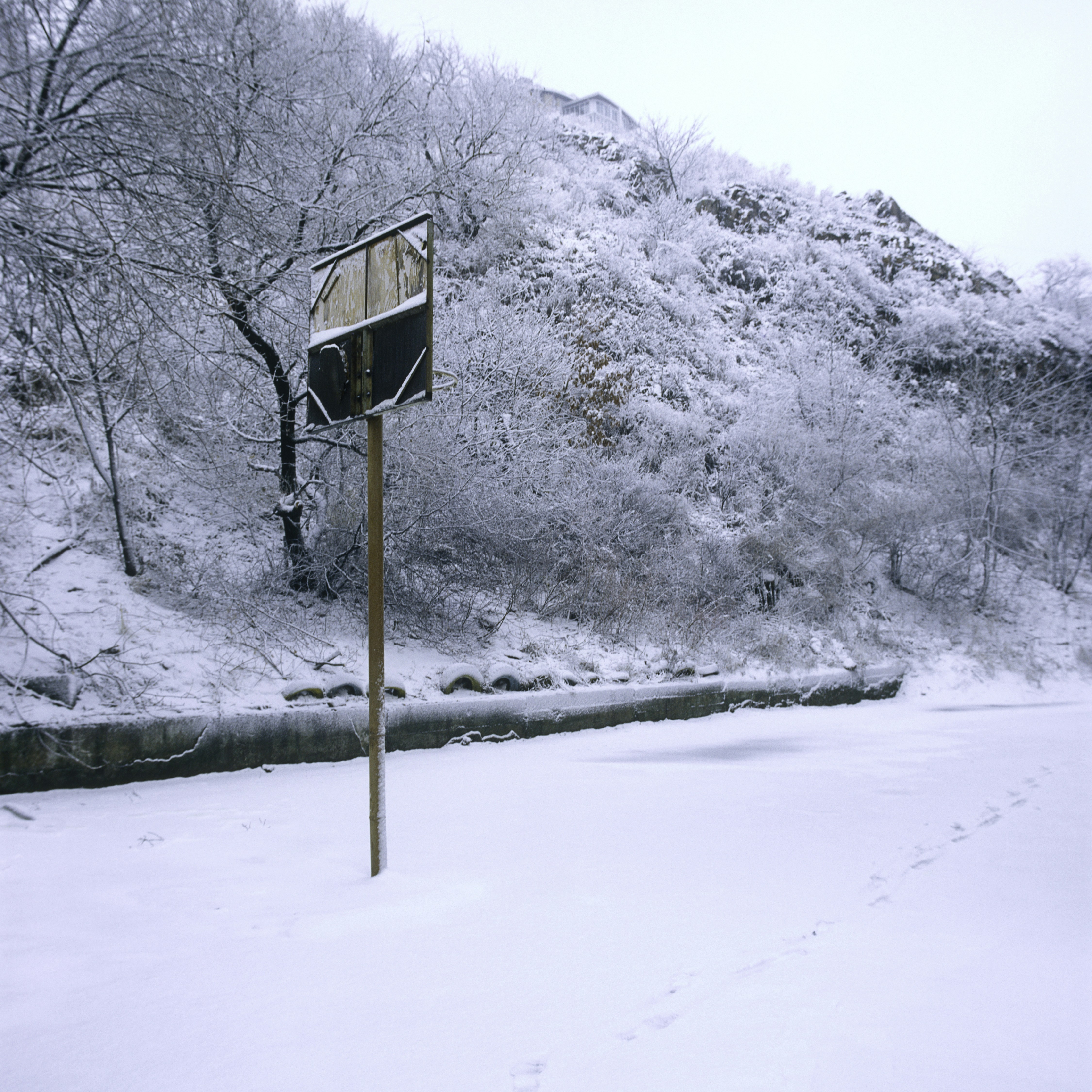 A weathered basketball hoop stands amidst a snowy landscape, surrounded by frosted trees and a quiet hillside. The scene evokes a sense of solitude and nostalgia.