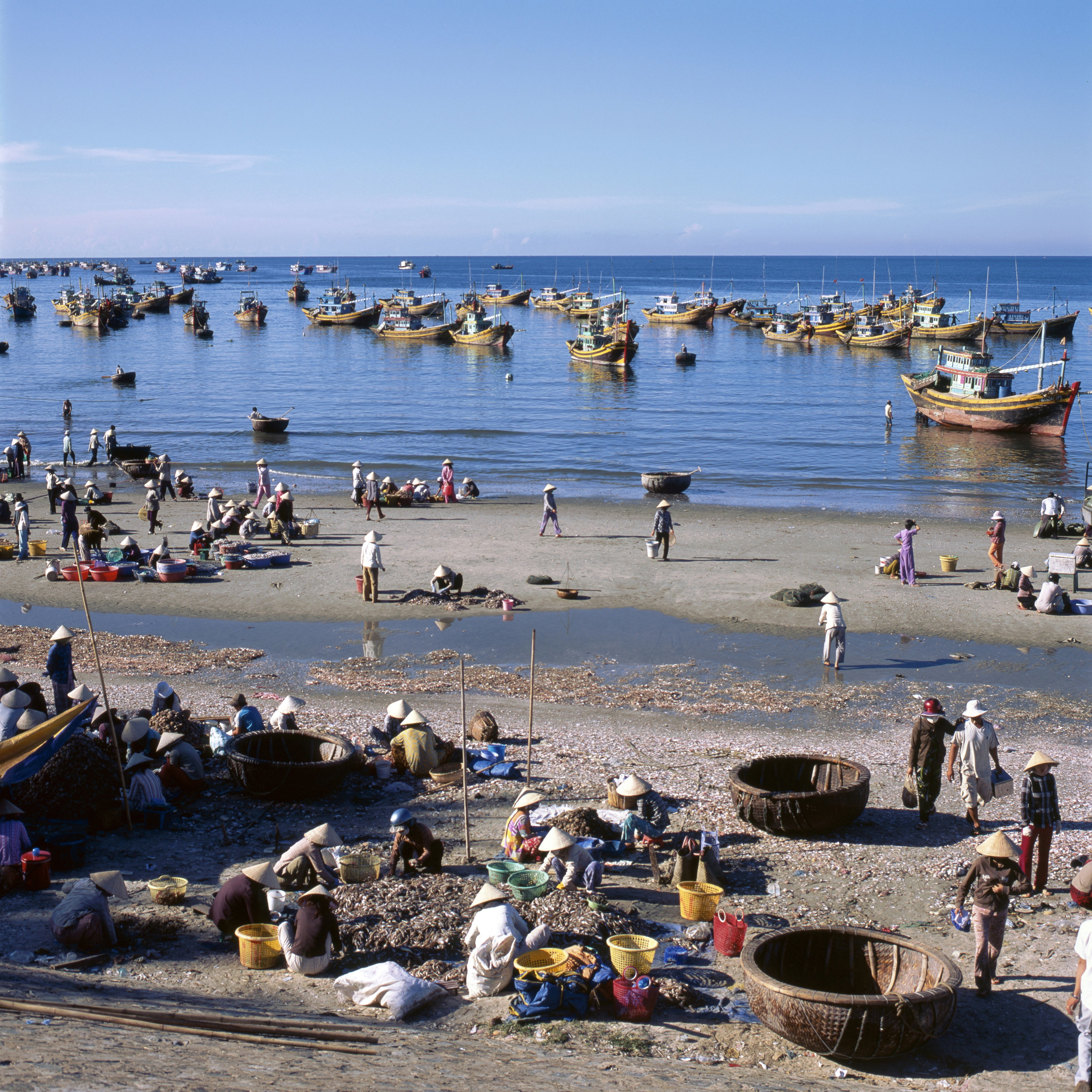Fishermen and women gathering shellfish along a tranquil beach, surrounded by colorful fishing boats under a clear blue sky.