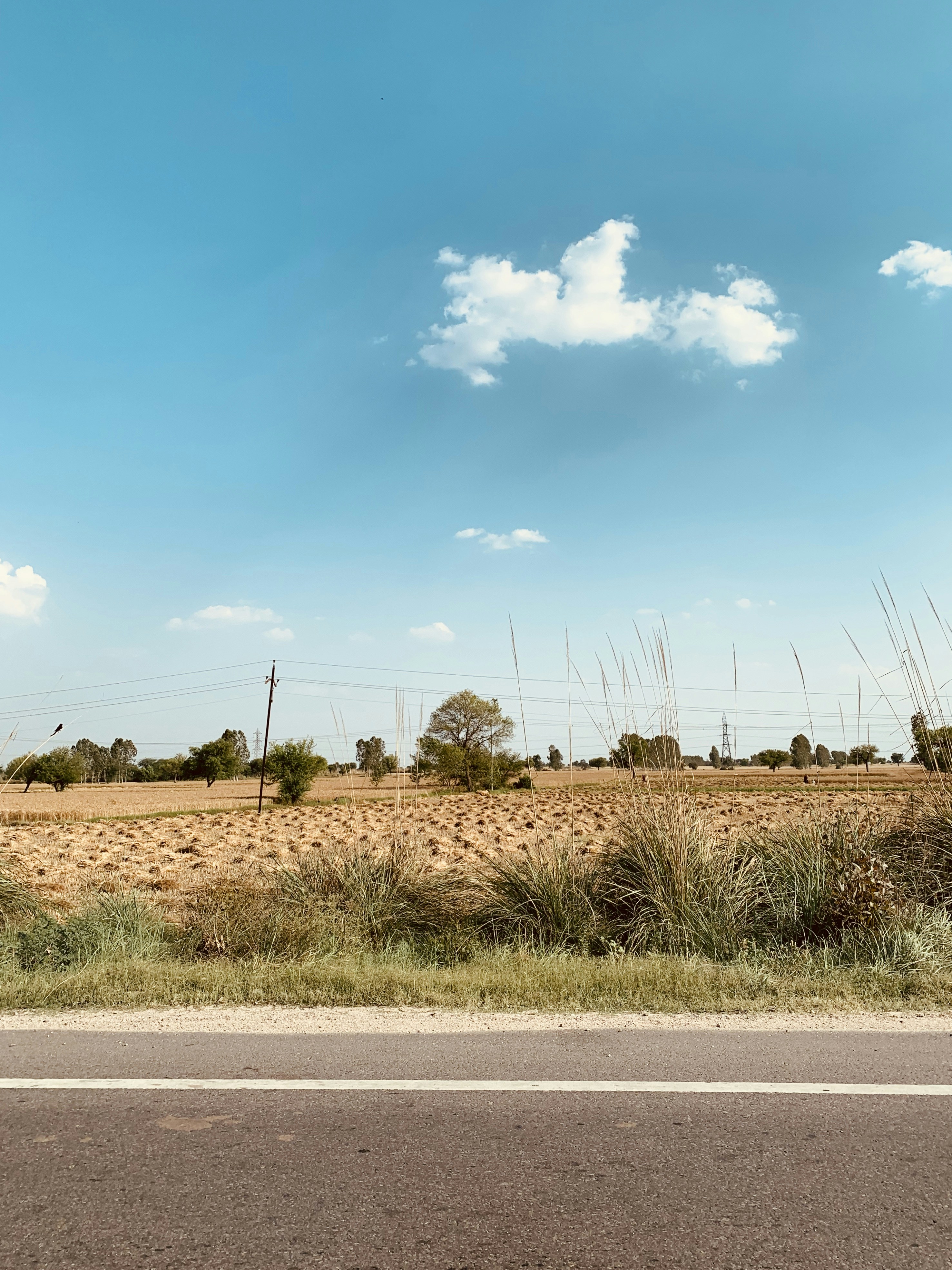 Middle Of Nowhere Pictures | Download Free Images on Unsplash