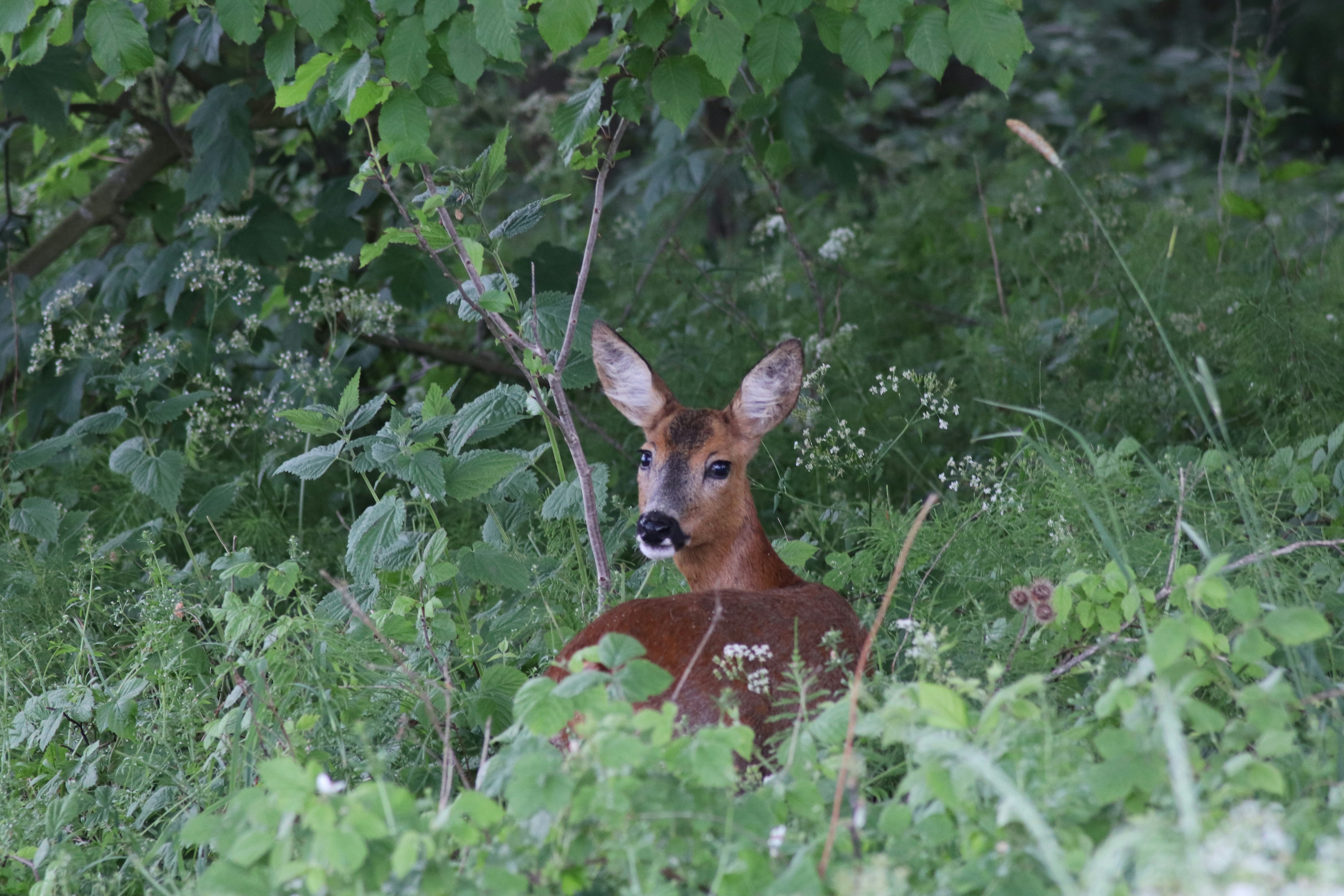 Jules Windey (@juleswindey) | Communauté photos Unsplash