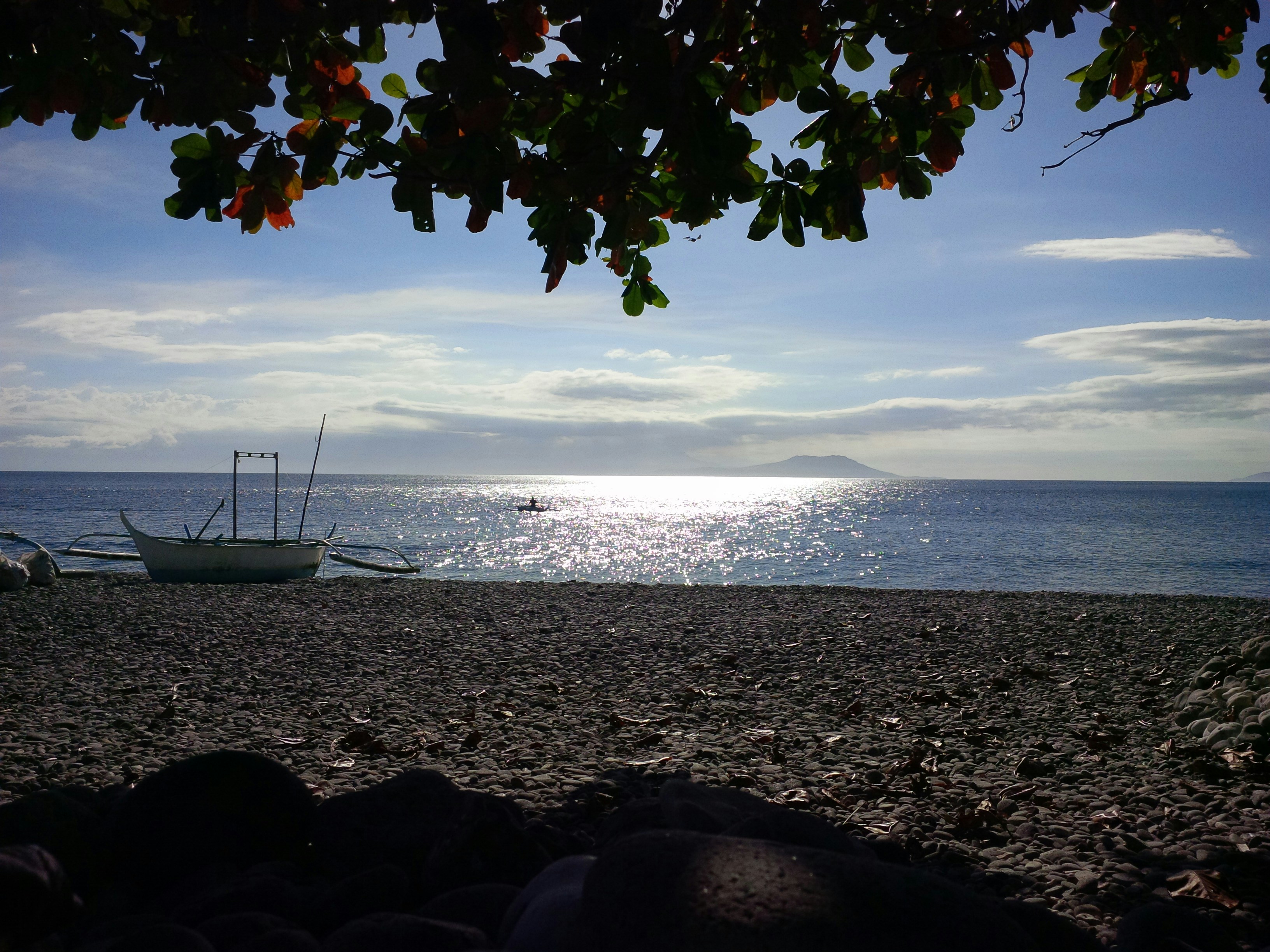 Pebbled Bay Under Leaf-Framed Sky: A Distant Boat on Sparkling Seas