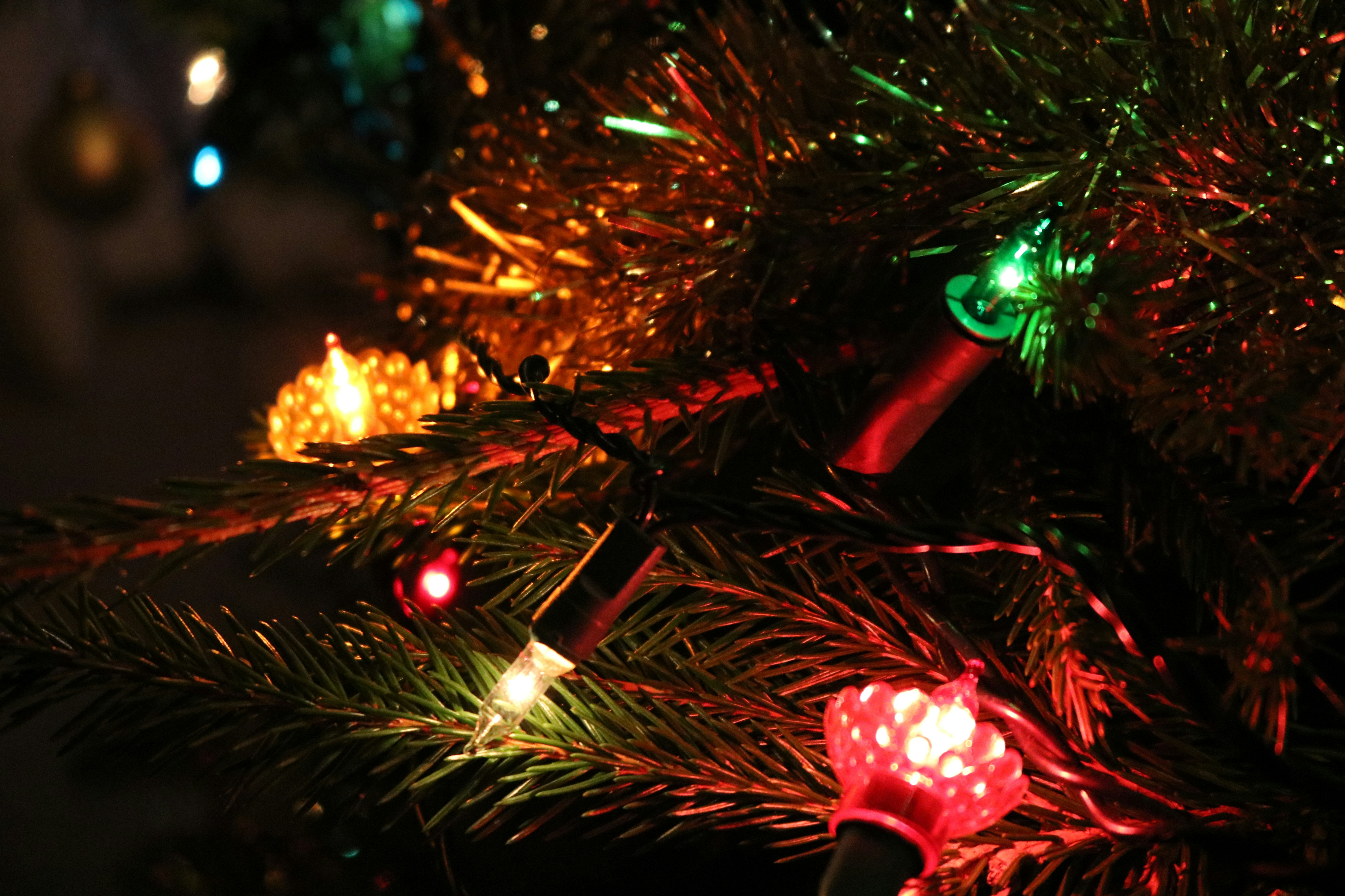Vibrant holiday lights twinkle among the lush pine branches of a Christmas tree, showcasing a colorful array of decorations.