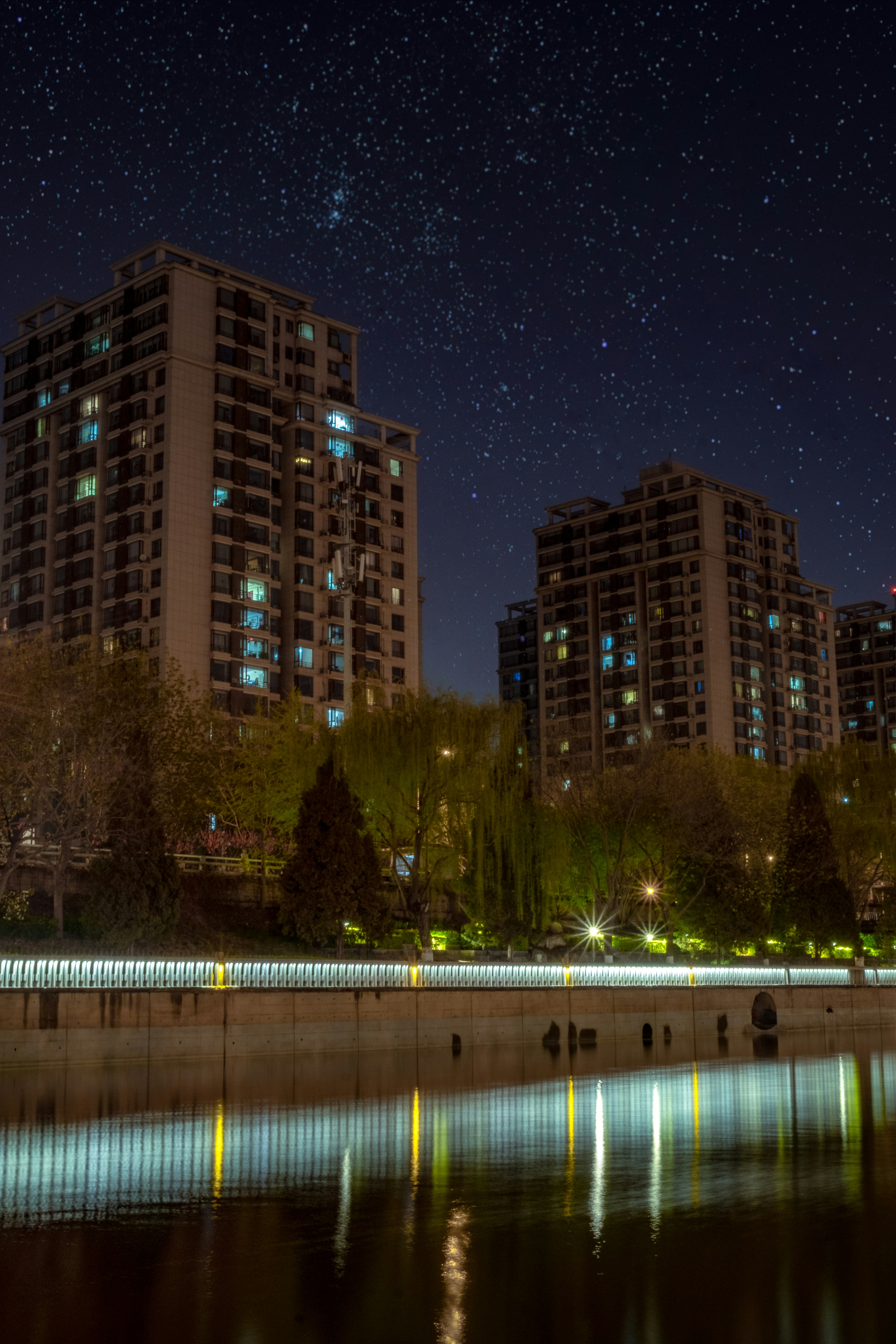 Starry Night Over a Neon-Waterfront