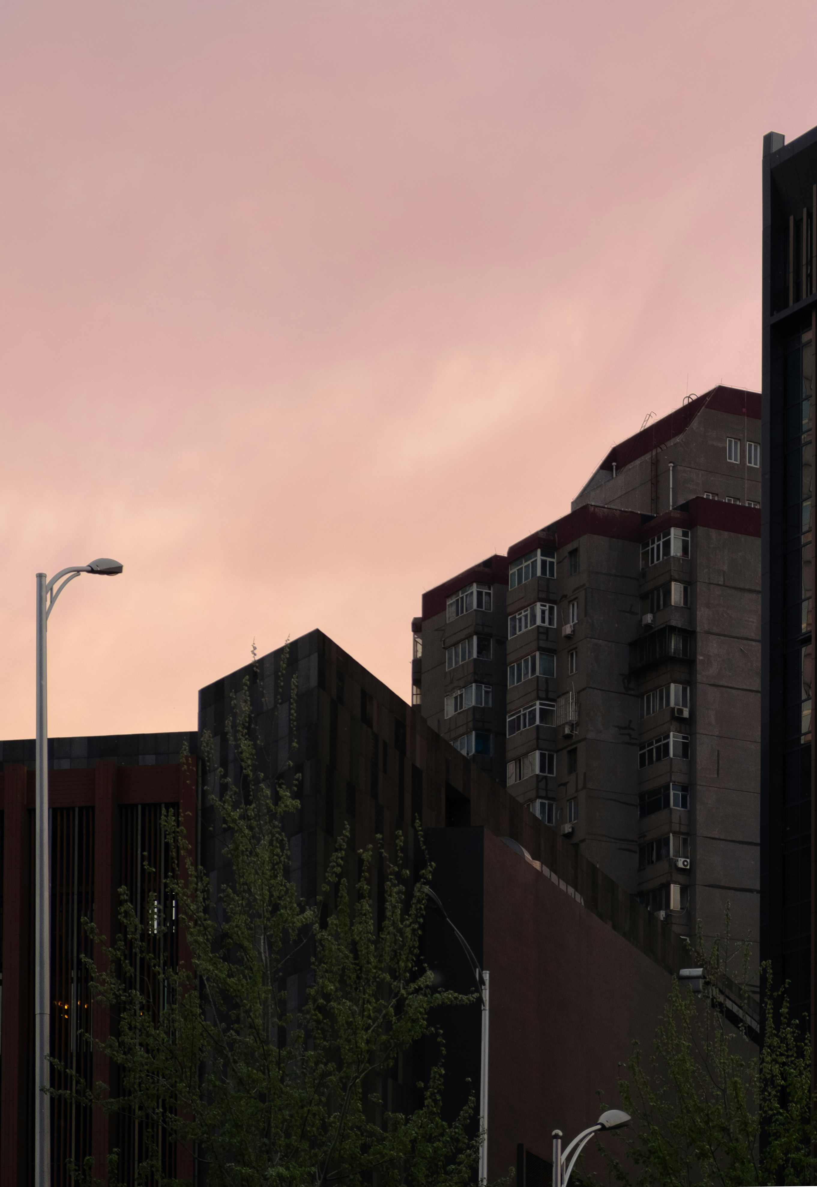 Pink Hour Over the City: Concrete Angles and Street Lamps