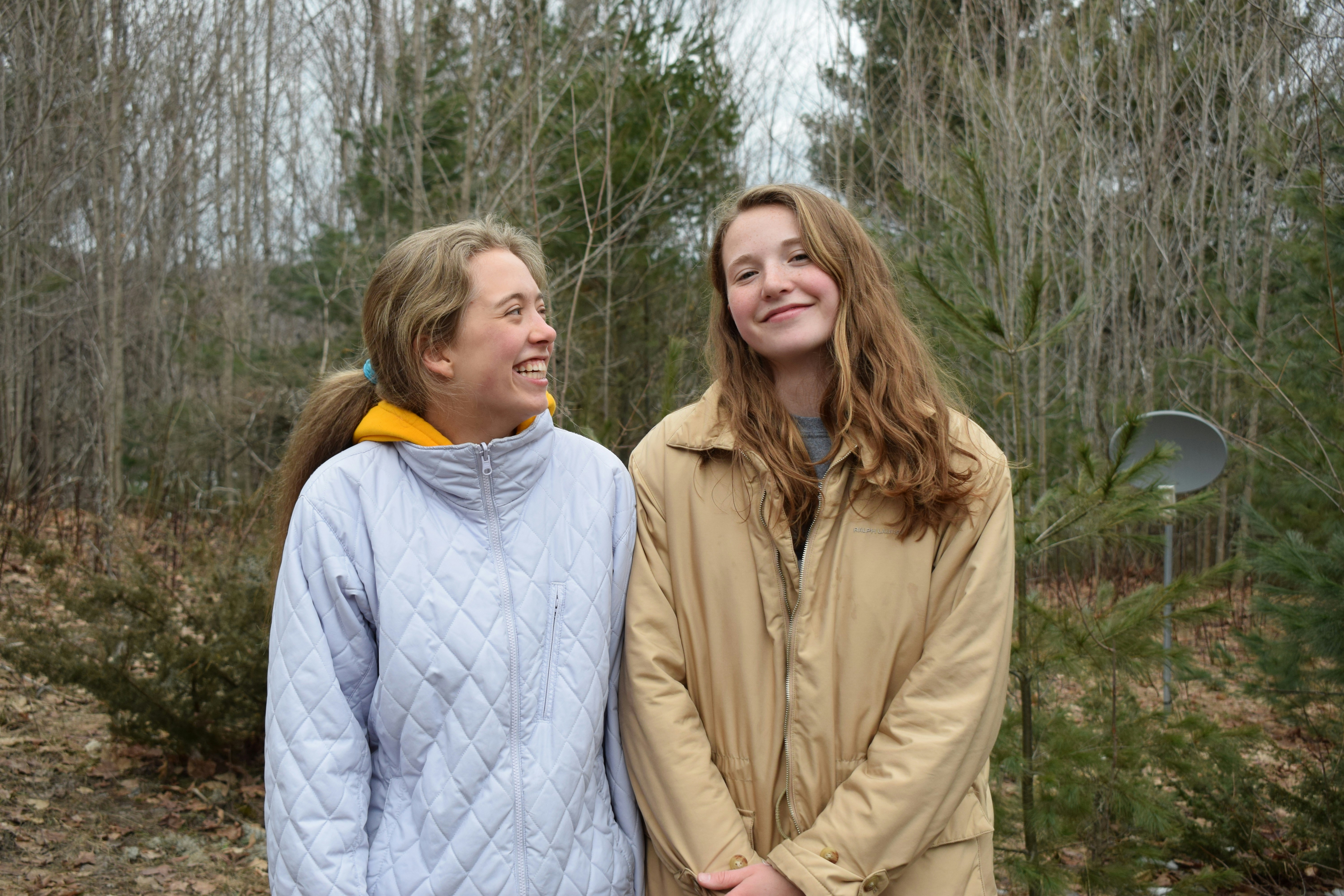 Two Friends in Conversation Under a Quiet Forest Afternoon
