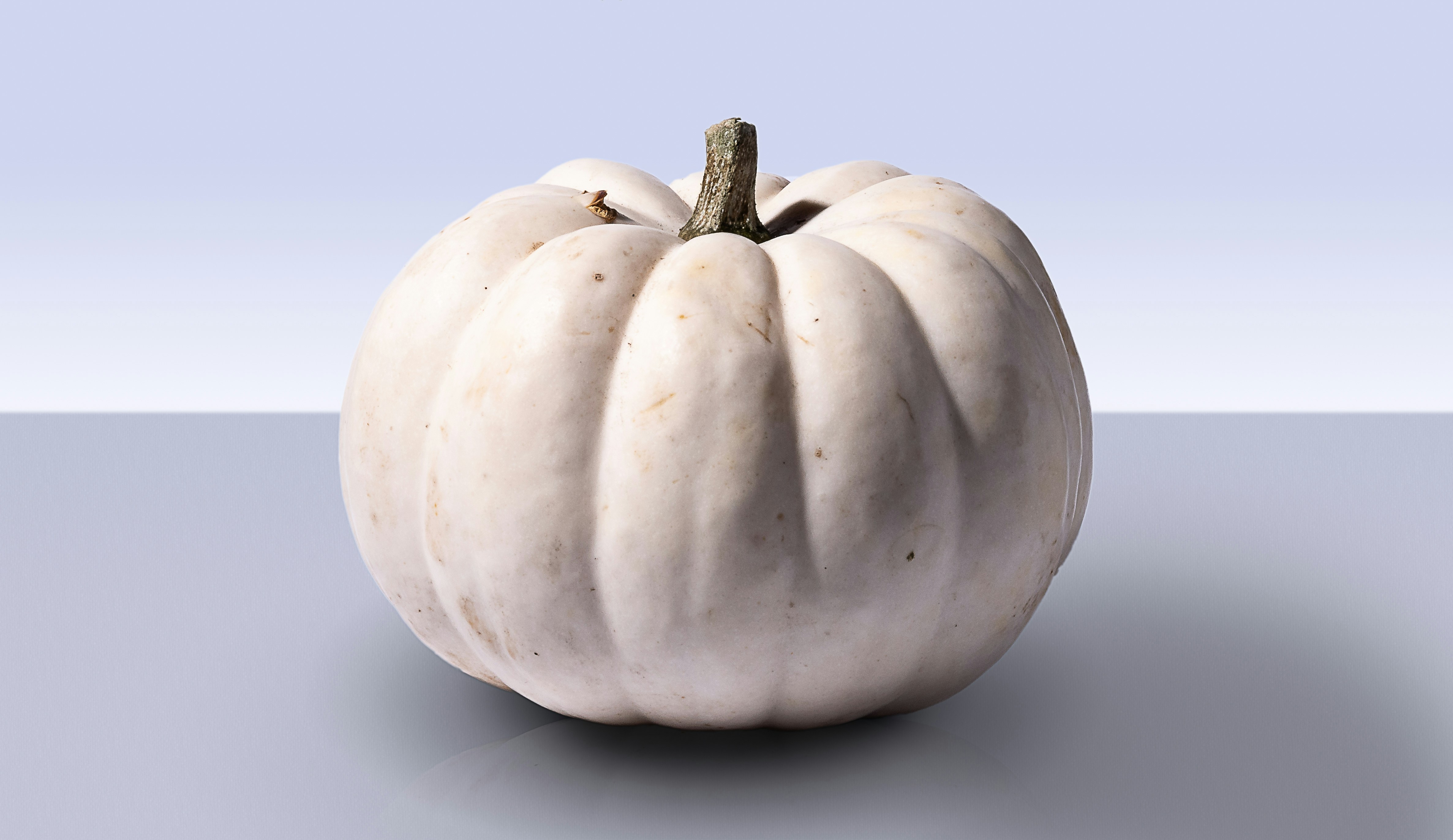 A white pumpkin rests on a smooth surface against a soft gradient background, showcasing its textured skin and unique shape.