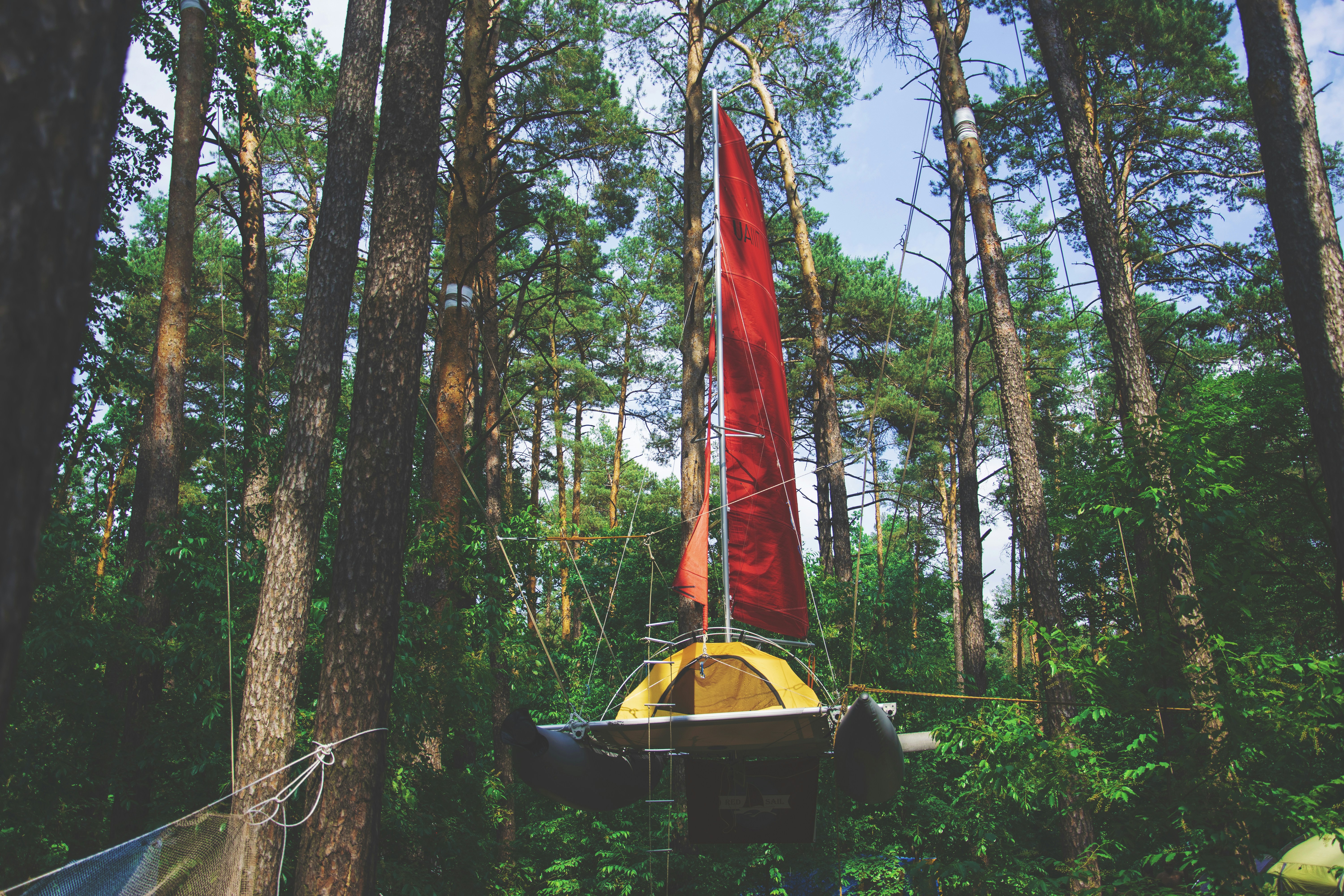 red flag beside tall tree