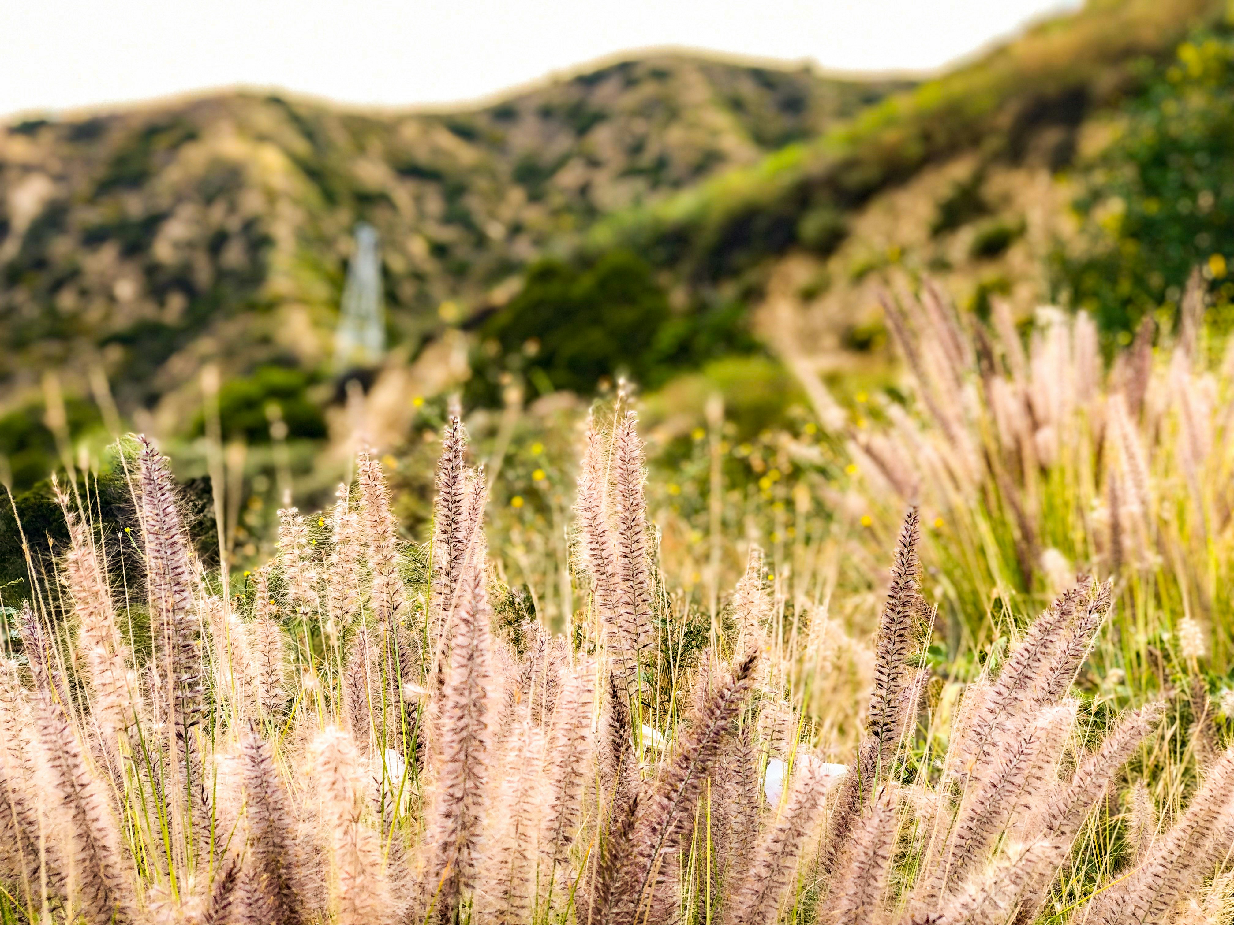 Eric De Castro (@ericmdecastro) | Komunitas Foto Unsplash