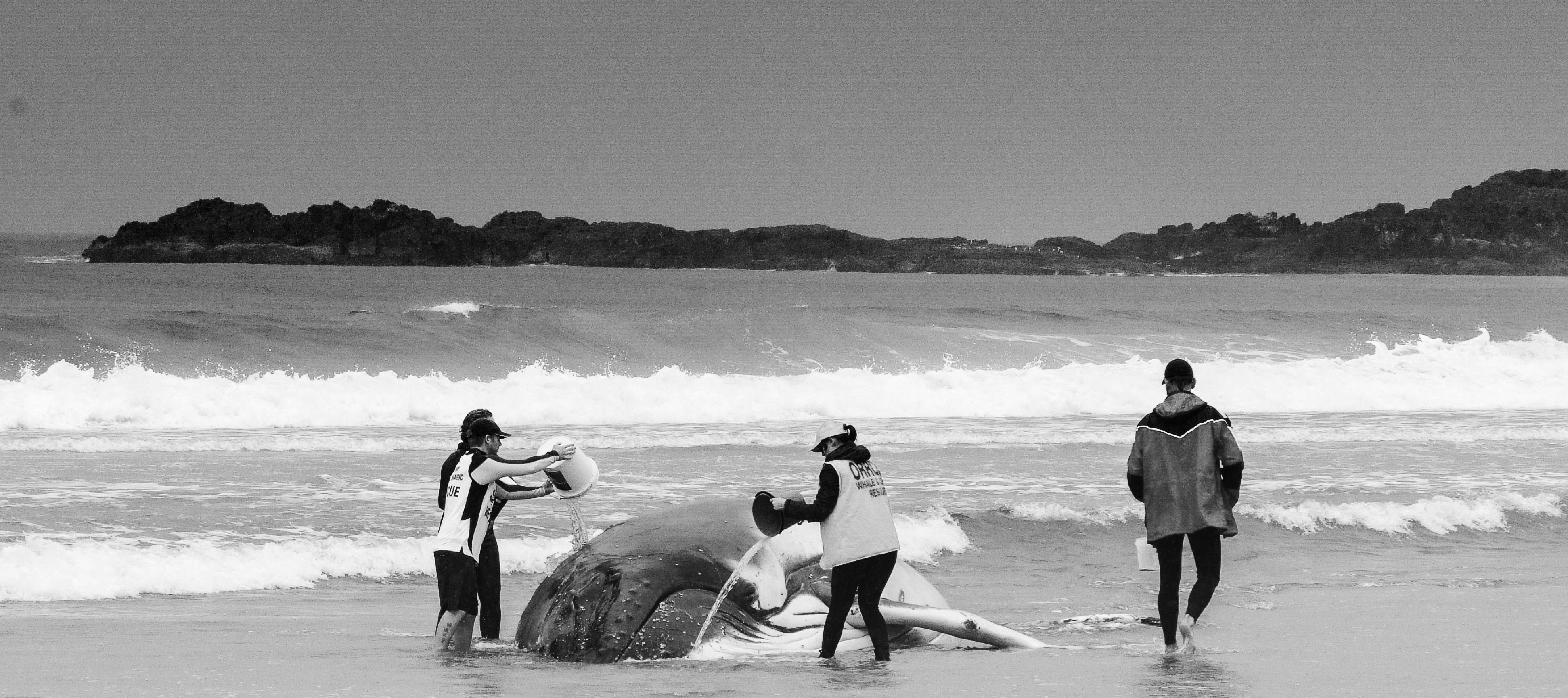 Three Figures Stand Guard Over a Beached Giant at the Windy Shore