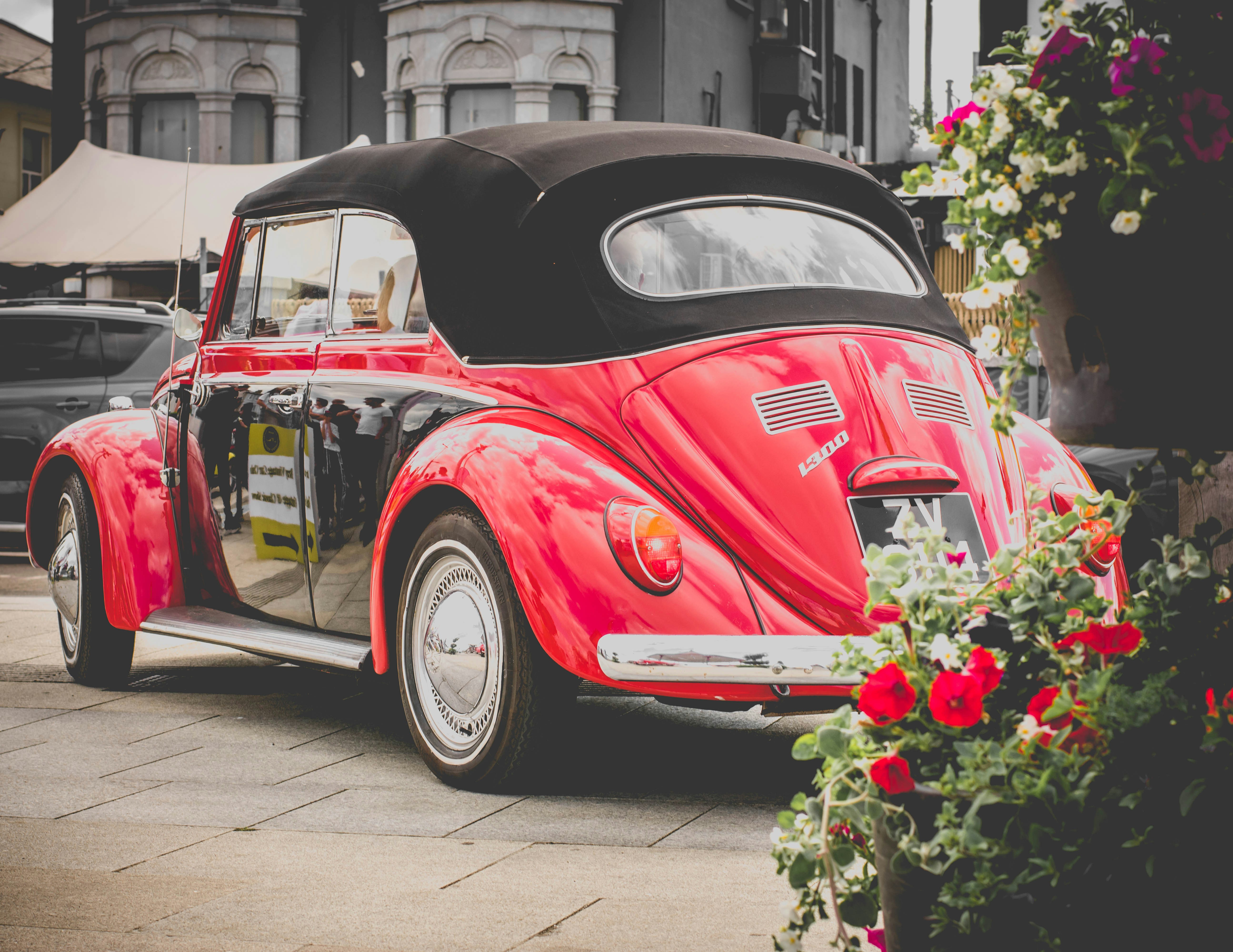 Crimson Velvet Convertible Framed by Blooming Planters