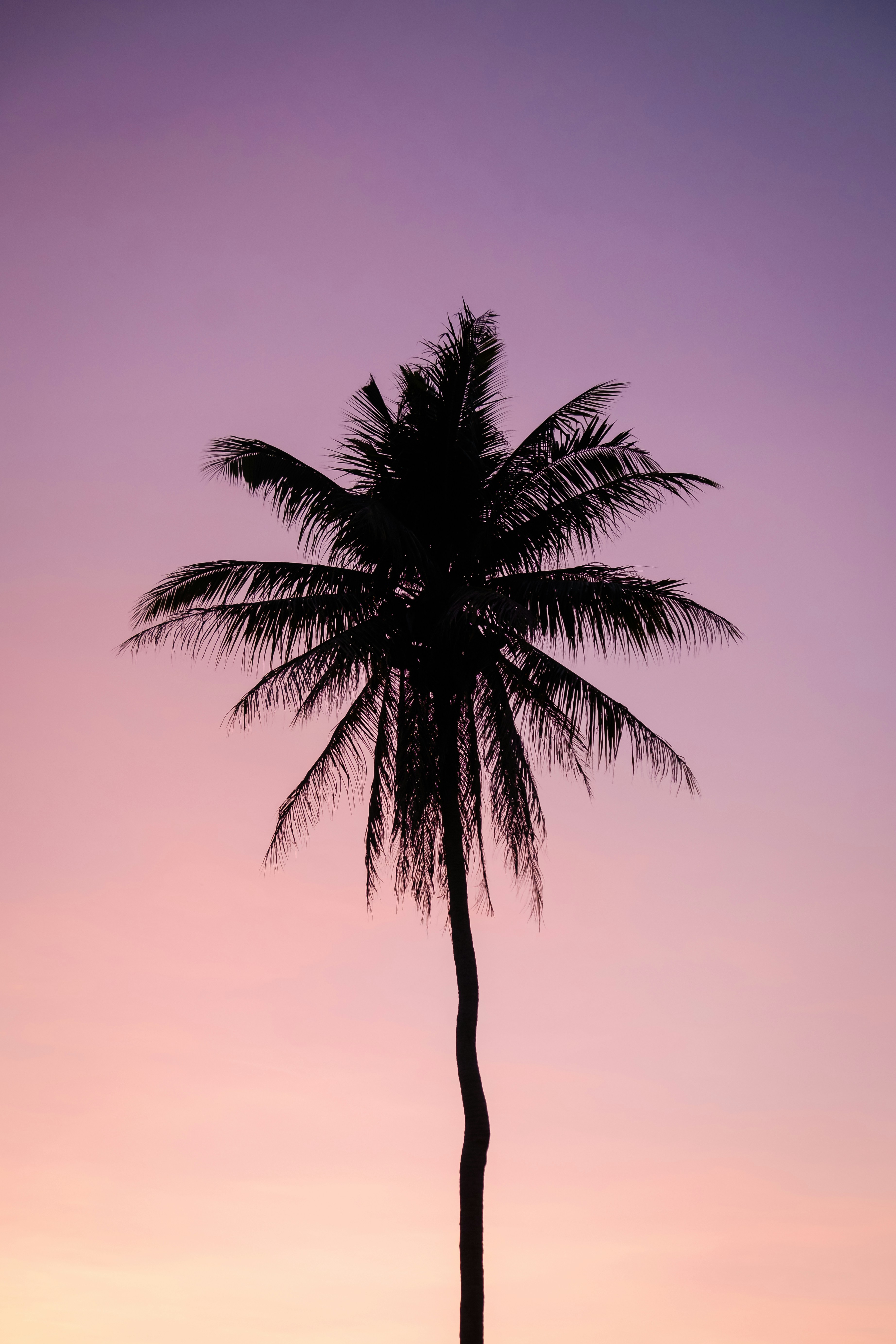 Tumblr Wallpaper Photography Hd