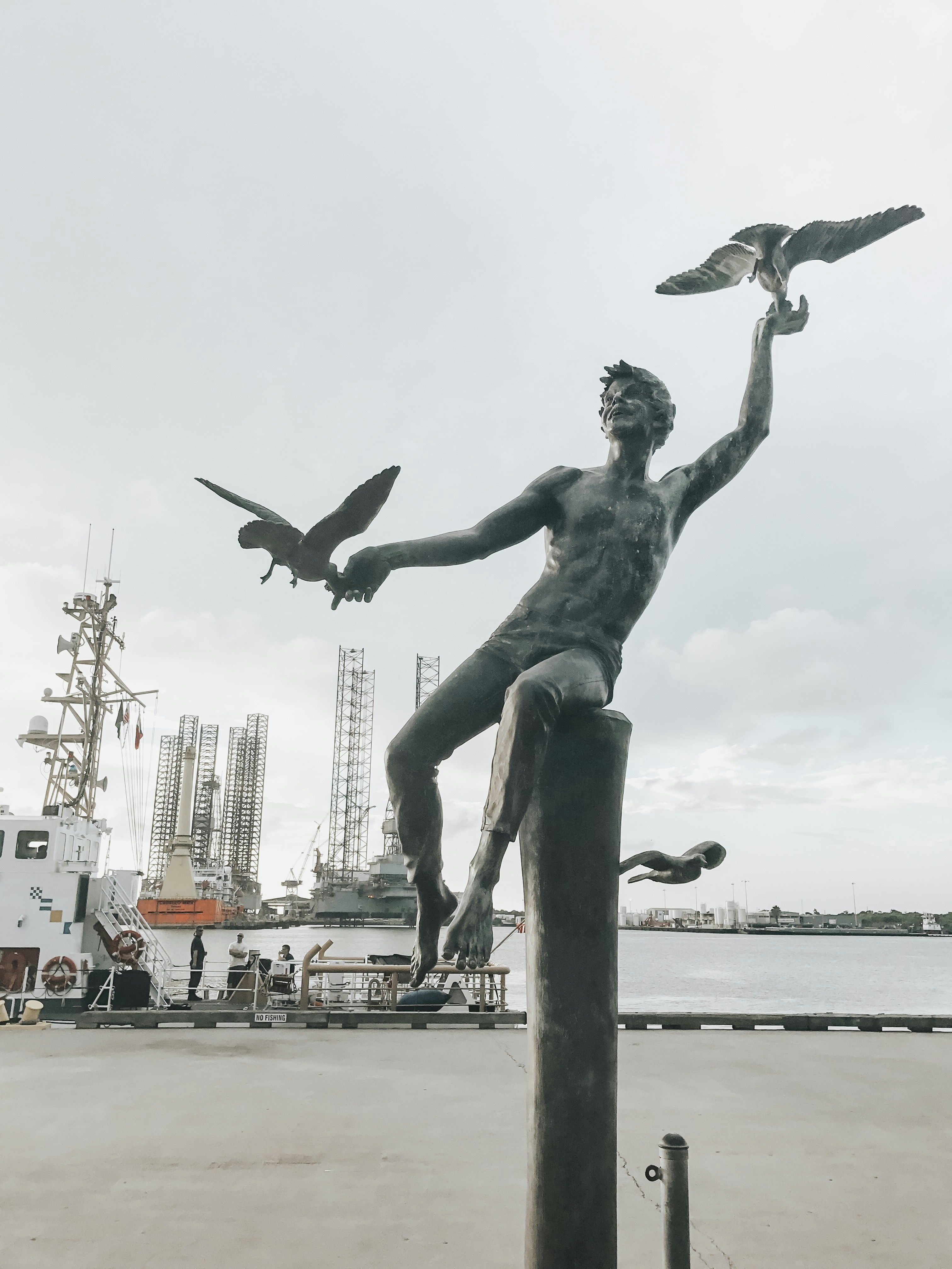 Bronze Guardian at the Pier: Wings of a Harbour, Birds in Flight