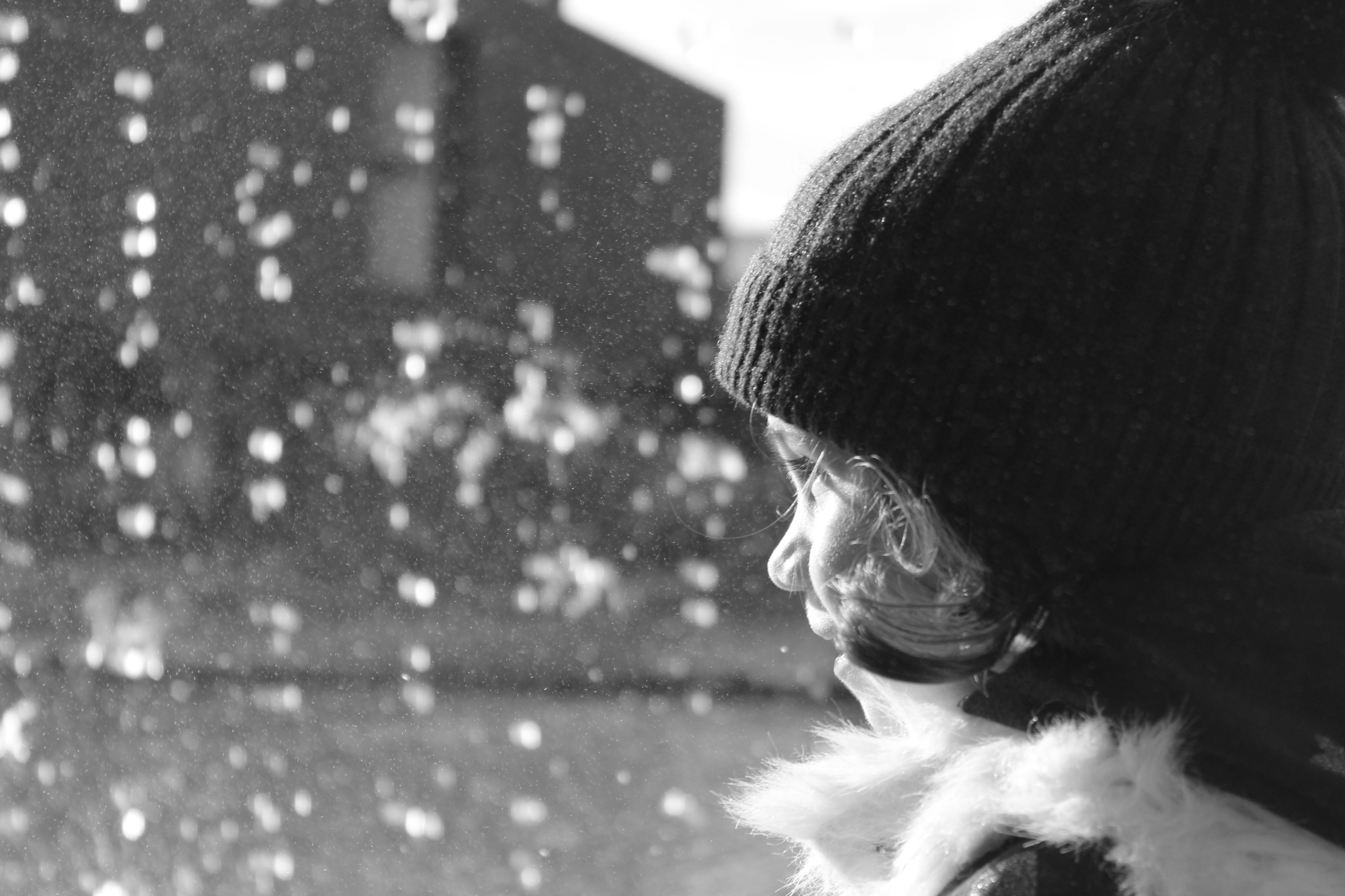 Monochrome Winter Gaze: A Quiet Profile in Falling Snow