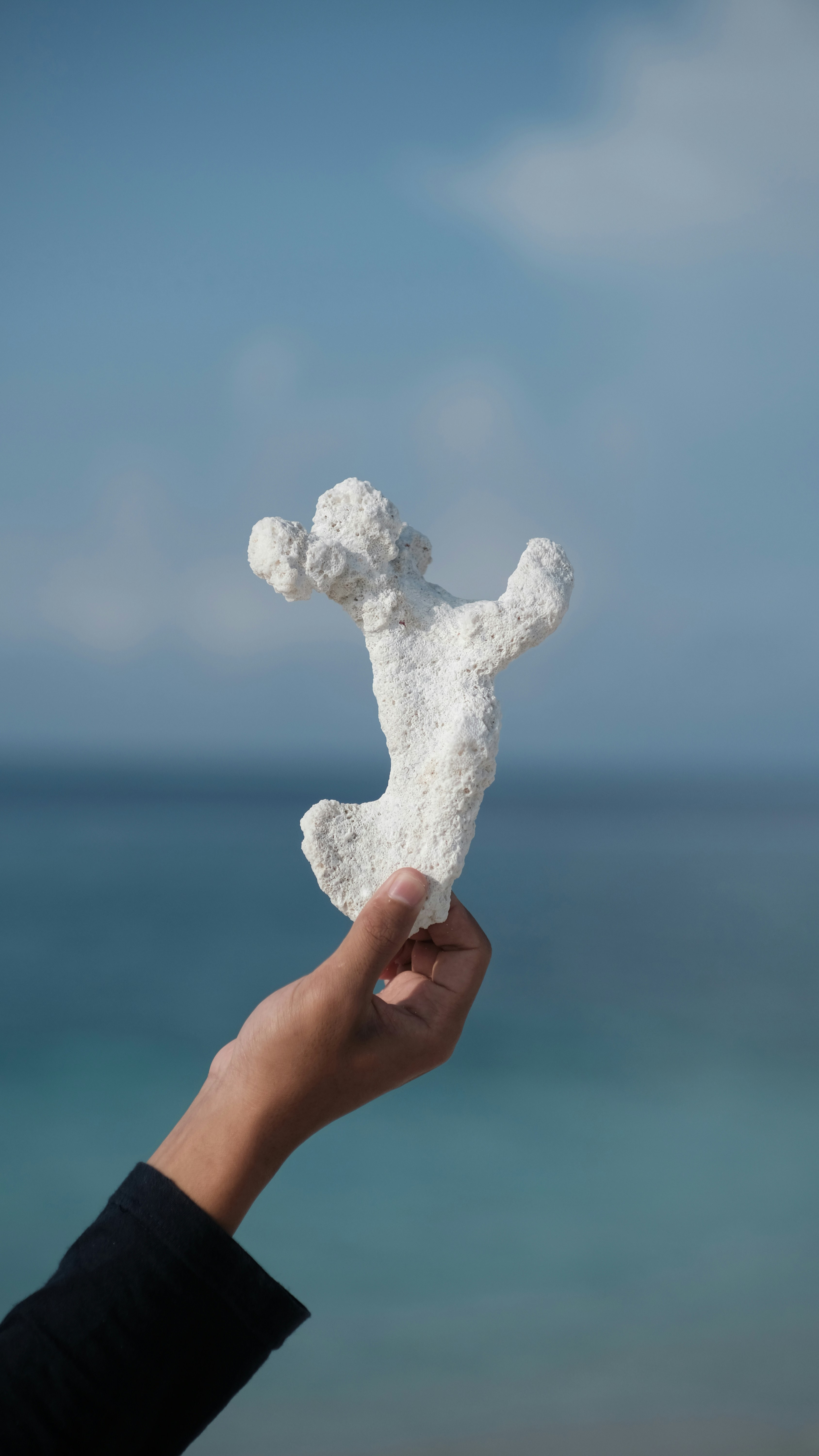 Handheld Seaside Puff: A Hand-Made Coral Silhouette Against the Horizon
