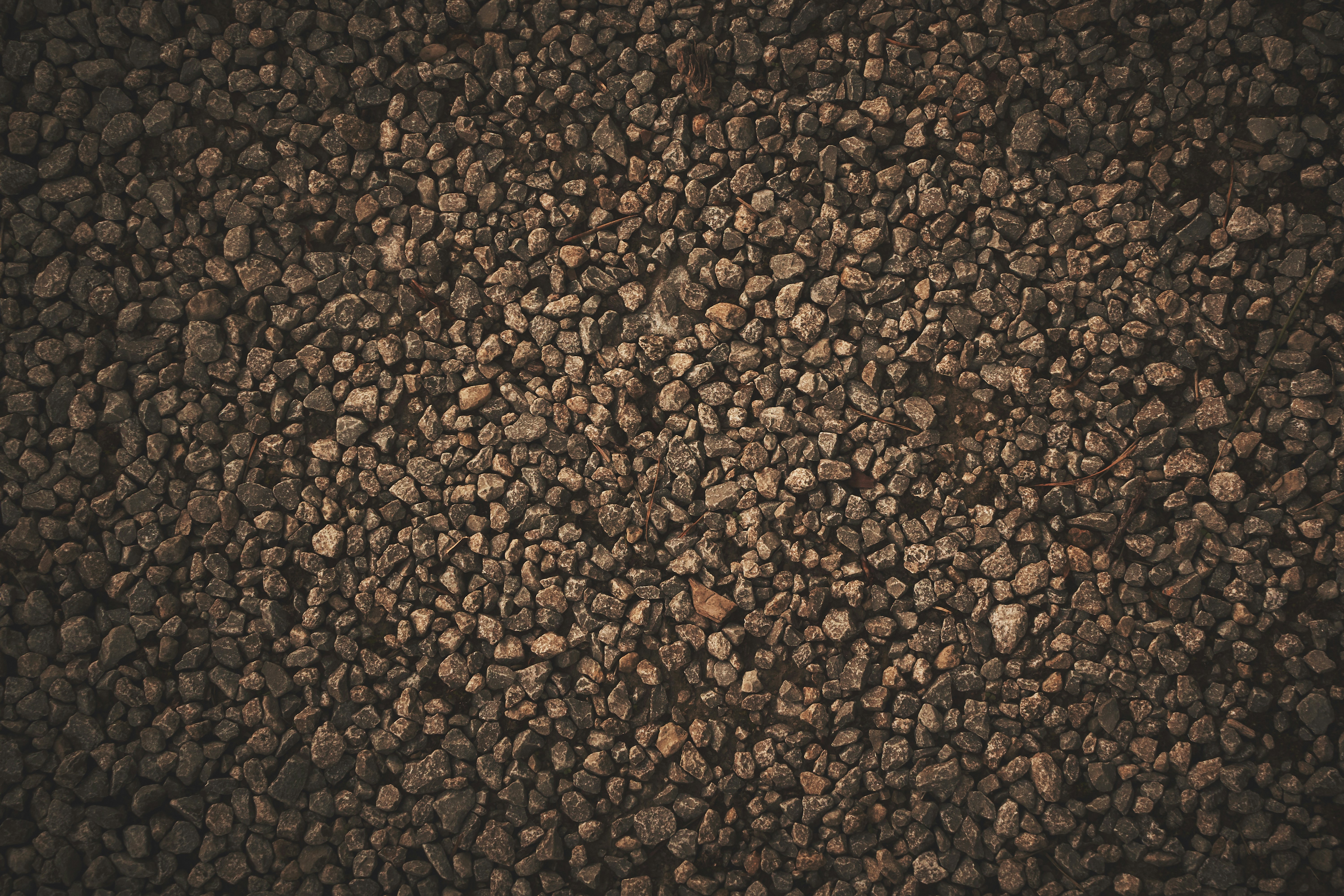 50,000+ Dirt Texture Pictures | Download Free Images on Unsplash