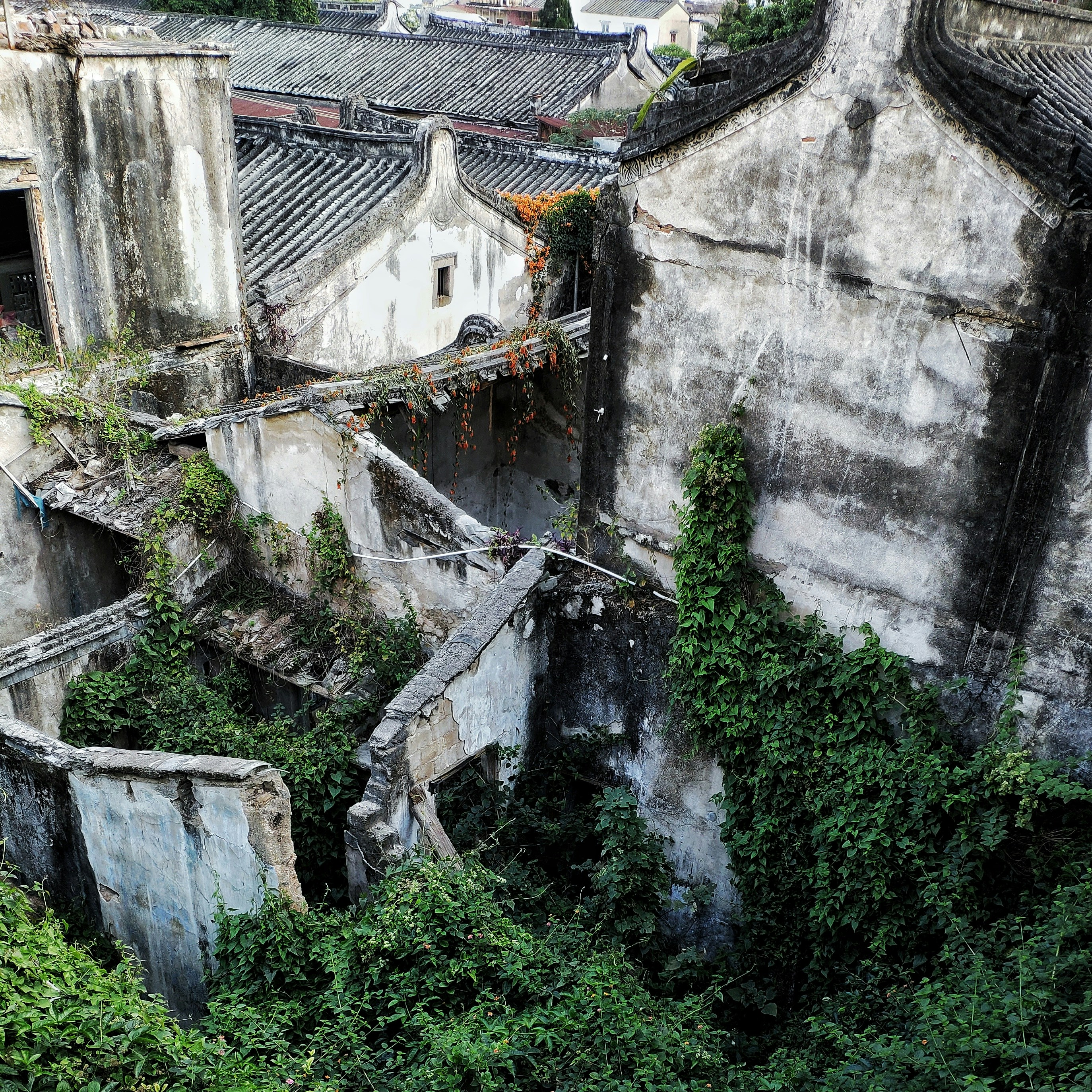Overgrown ruins of abandoned buildings intertwined with lush greenery, showcasing the passage of time and nature's reclamation.