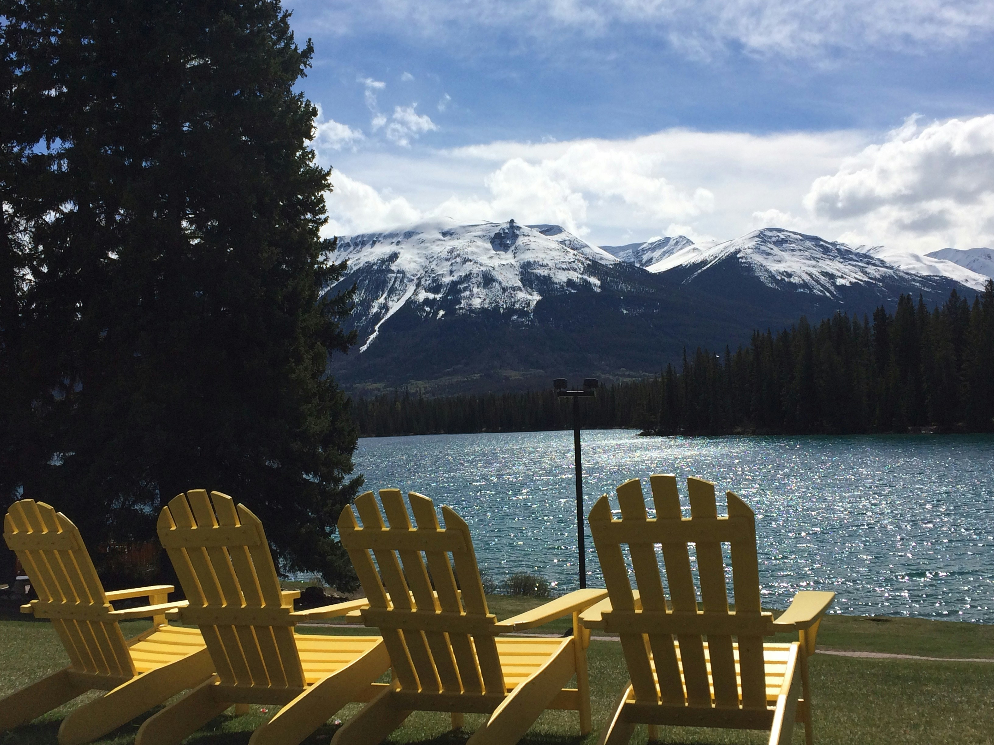 Row of Sunlit Yellow Adirondack Chairs Facing a Lake Toward Snow-Capped Peaks