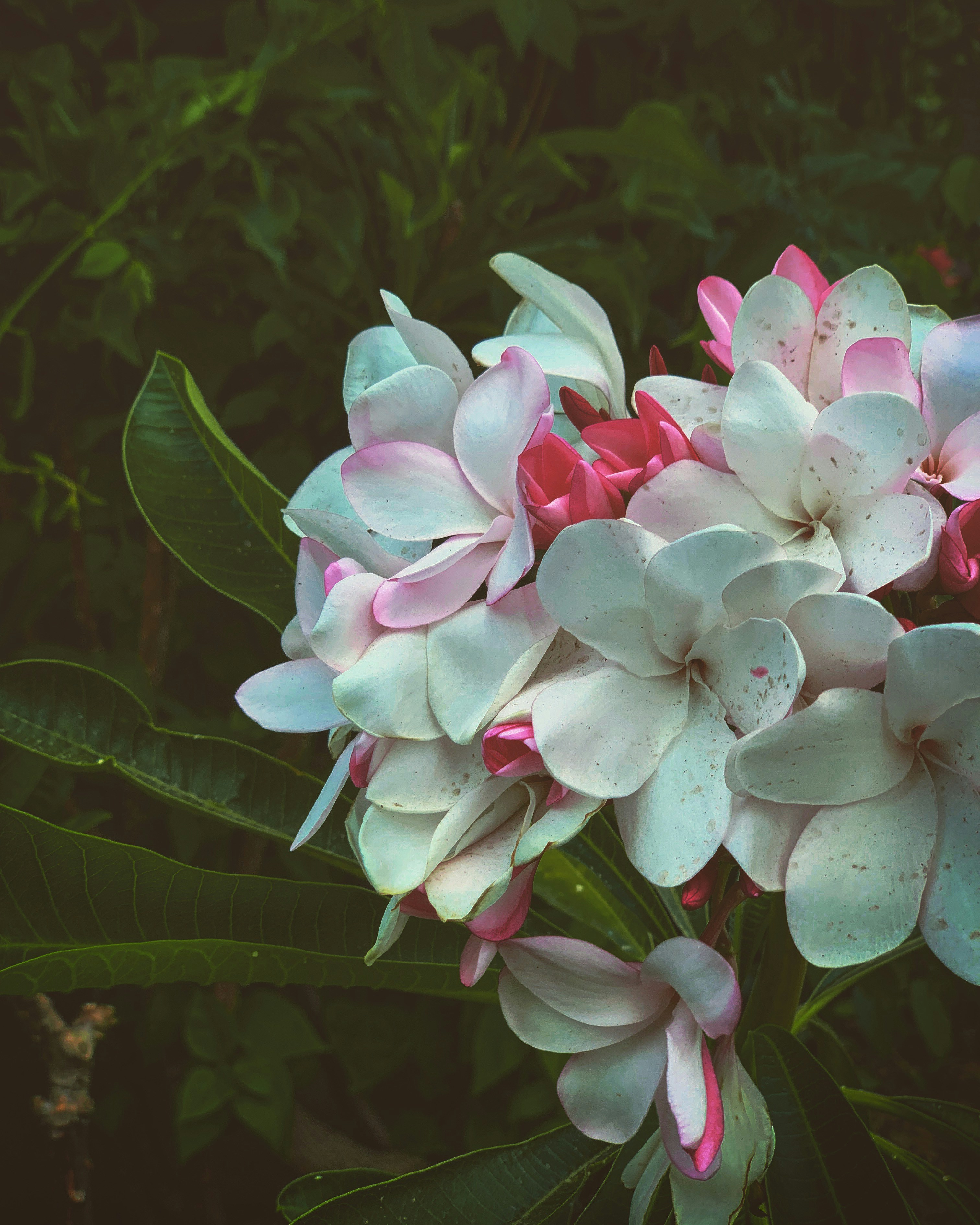 Mika Suzuki (@mika_suzuki) | Komunitas Foto Unsplash