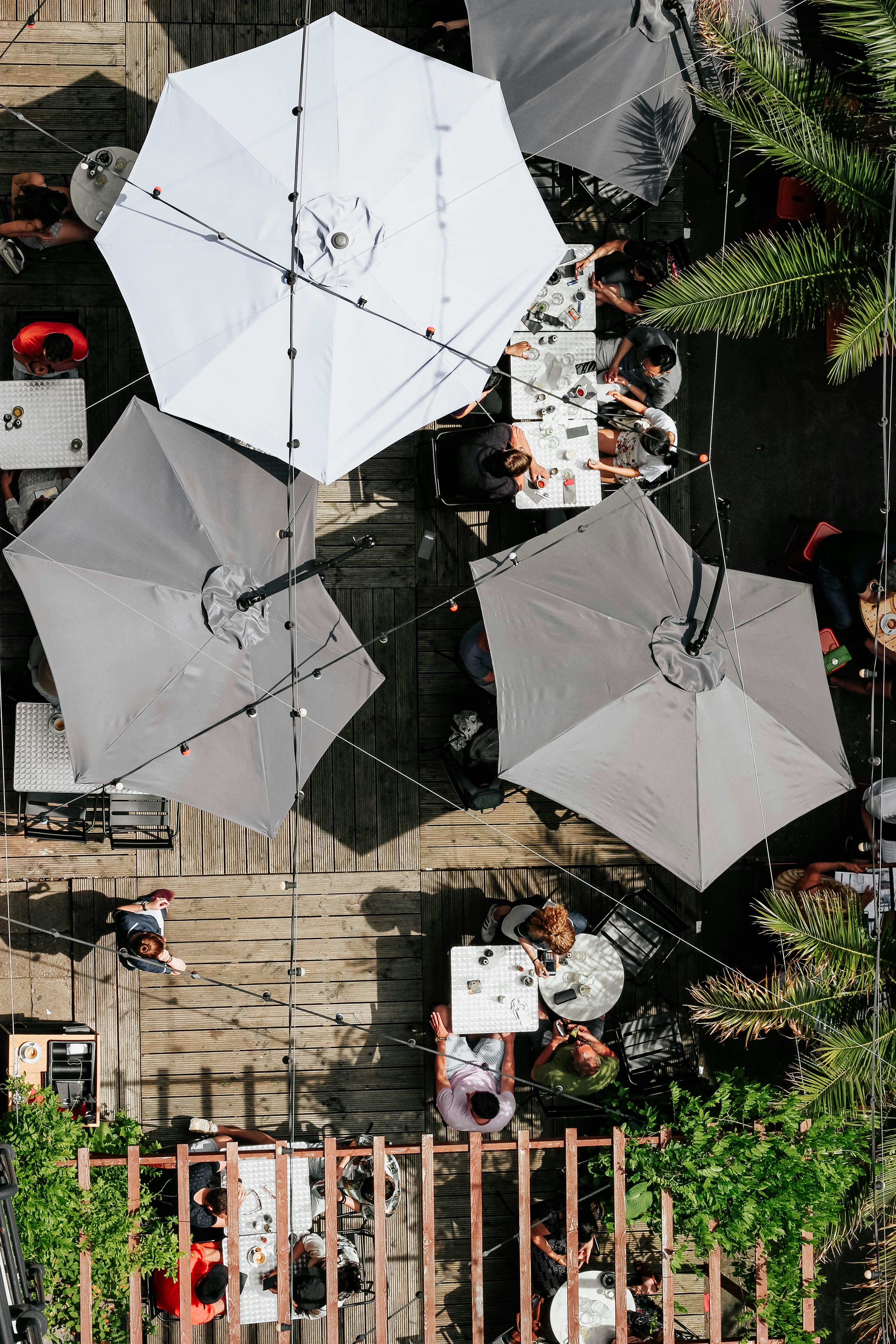 Aerial Café Terrace Beneath Umbrellas