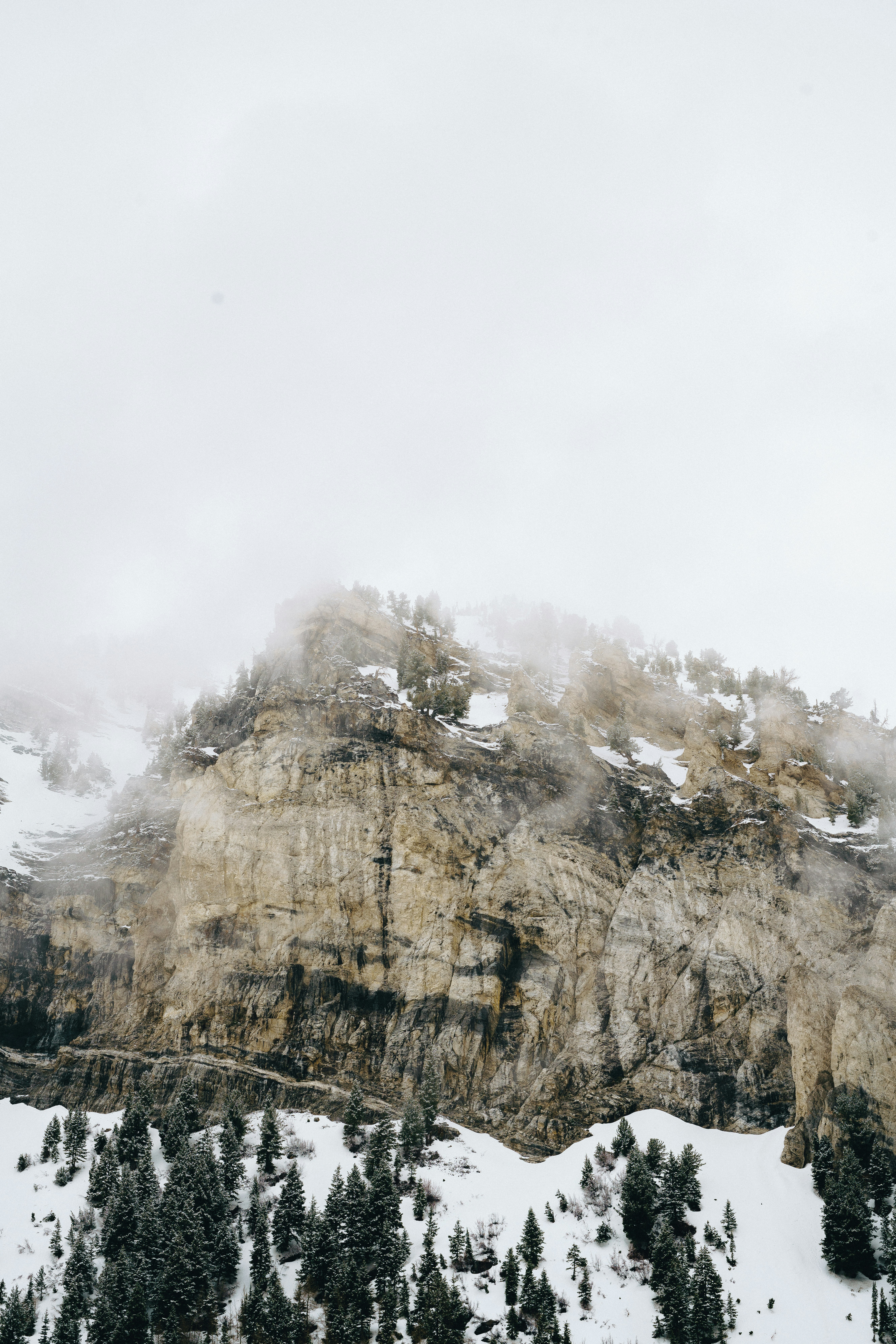 Mist-Worn Granite: Snow-Crowned Cliff Amid Silent Pines