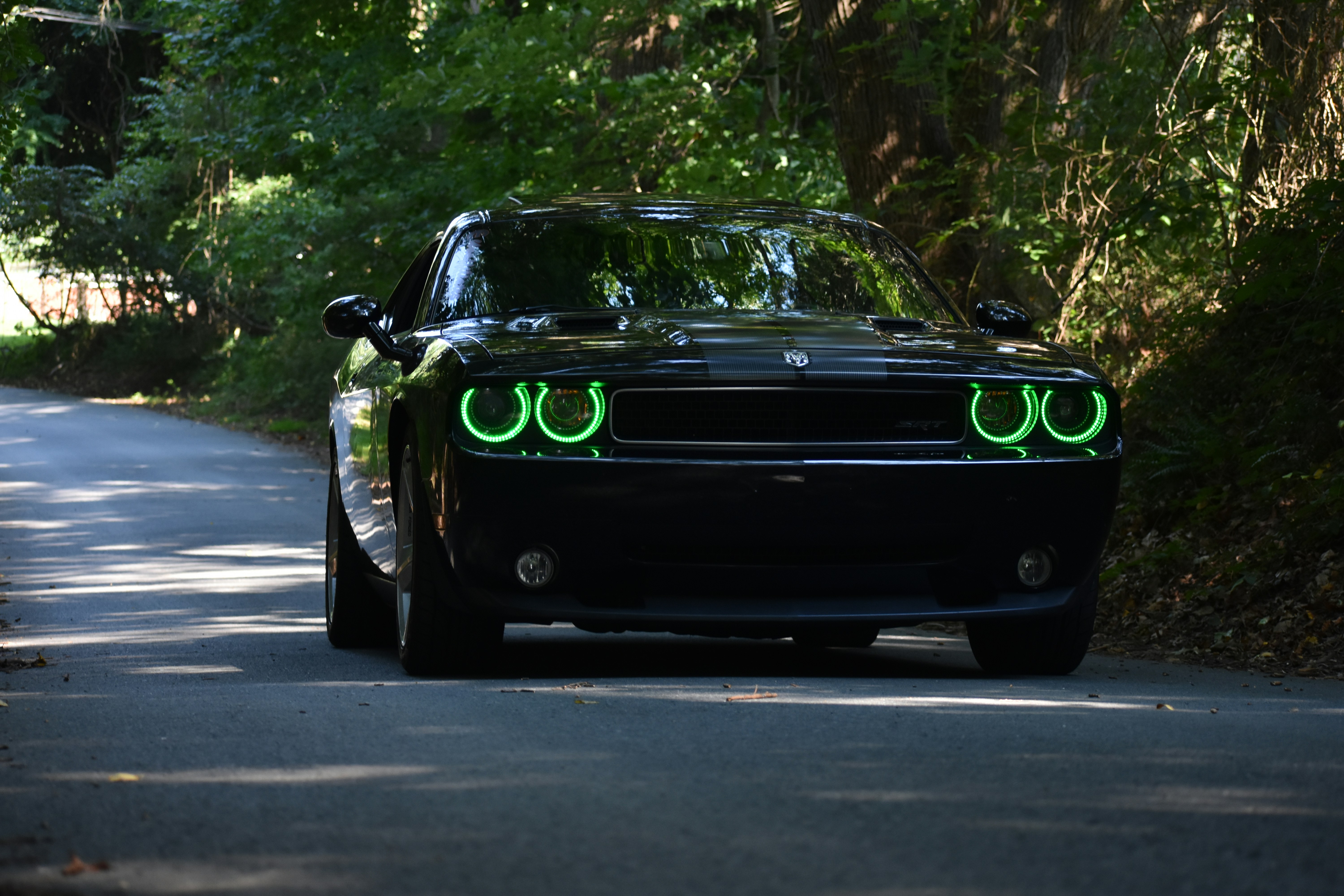 Black Dodge Challenger parked beside tree photo – Free Automobile Image ...