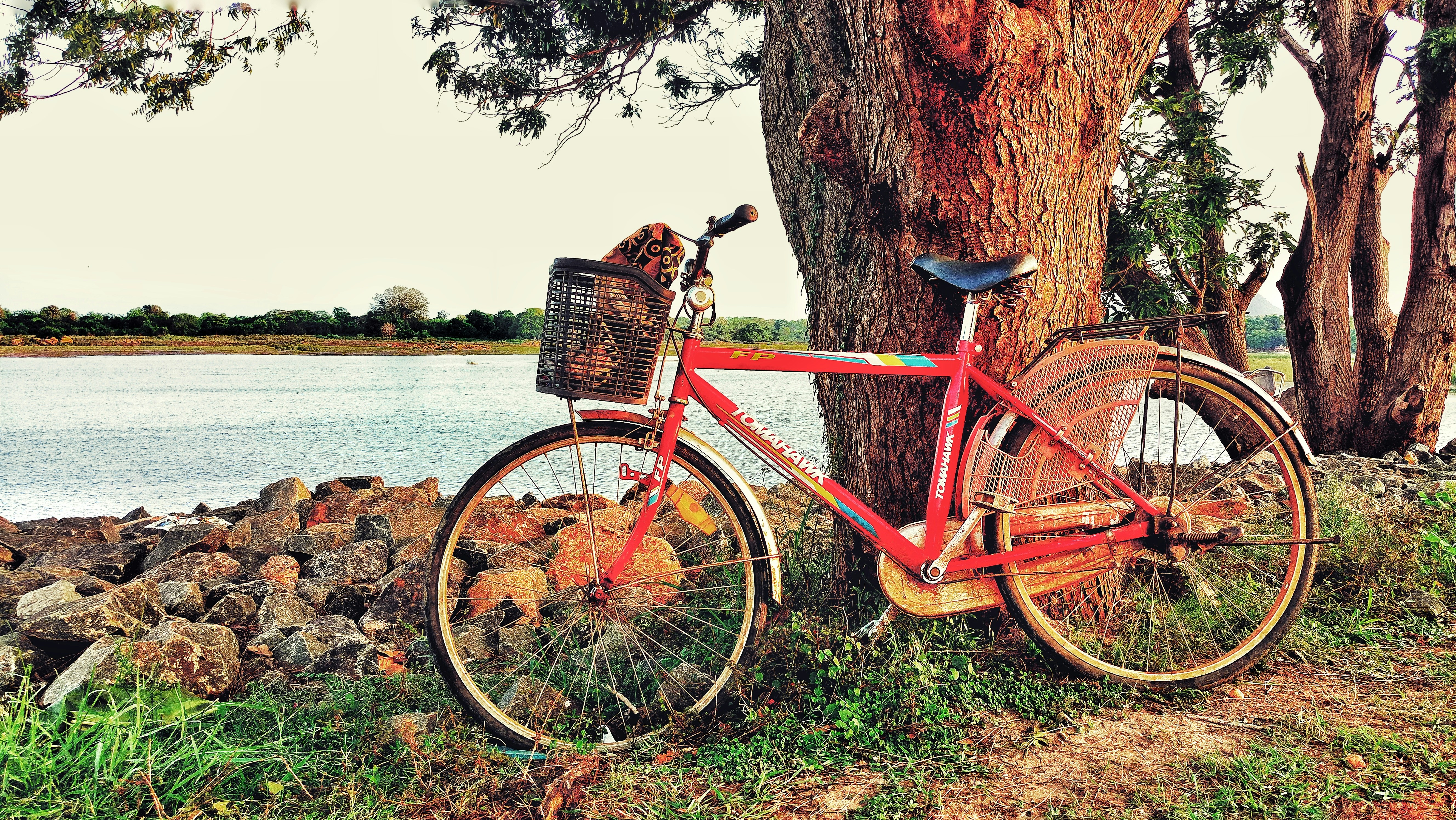 Red rigid bicycle beside tree photo – Free Anuradhapura Image on Unsplash