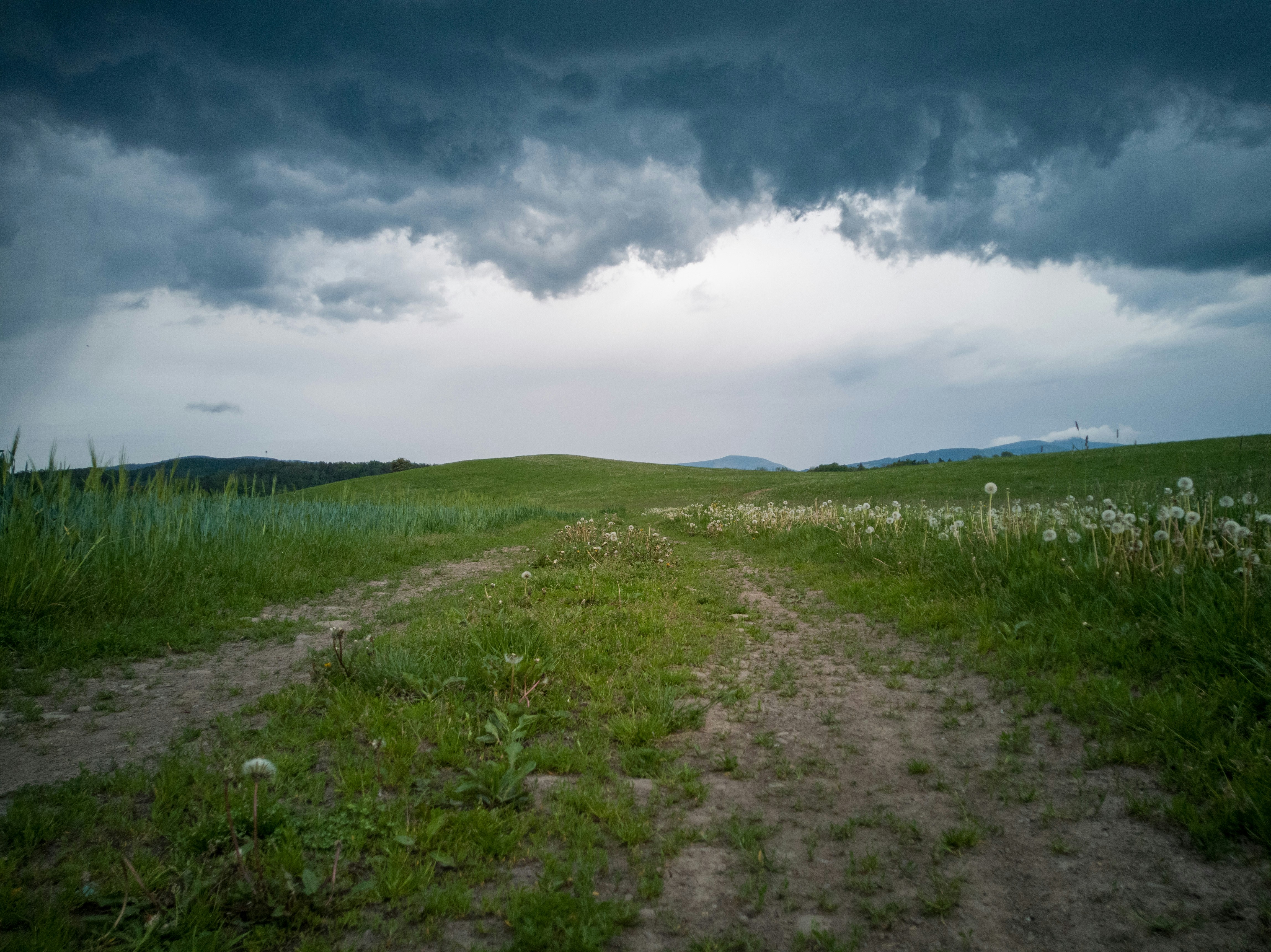 Dramatic storm clouds hover over a grassy path leading through a meadow.