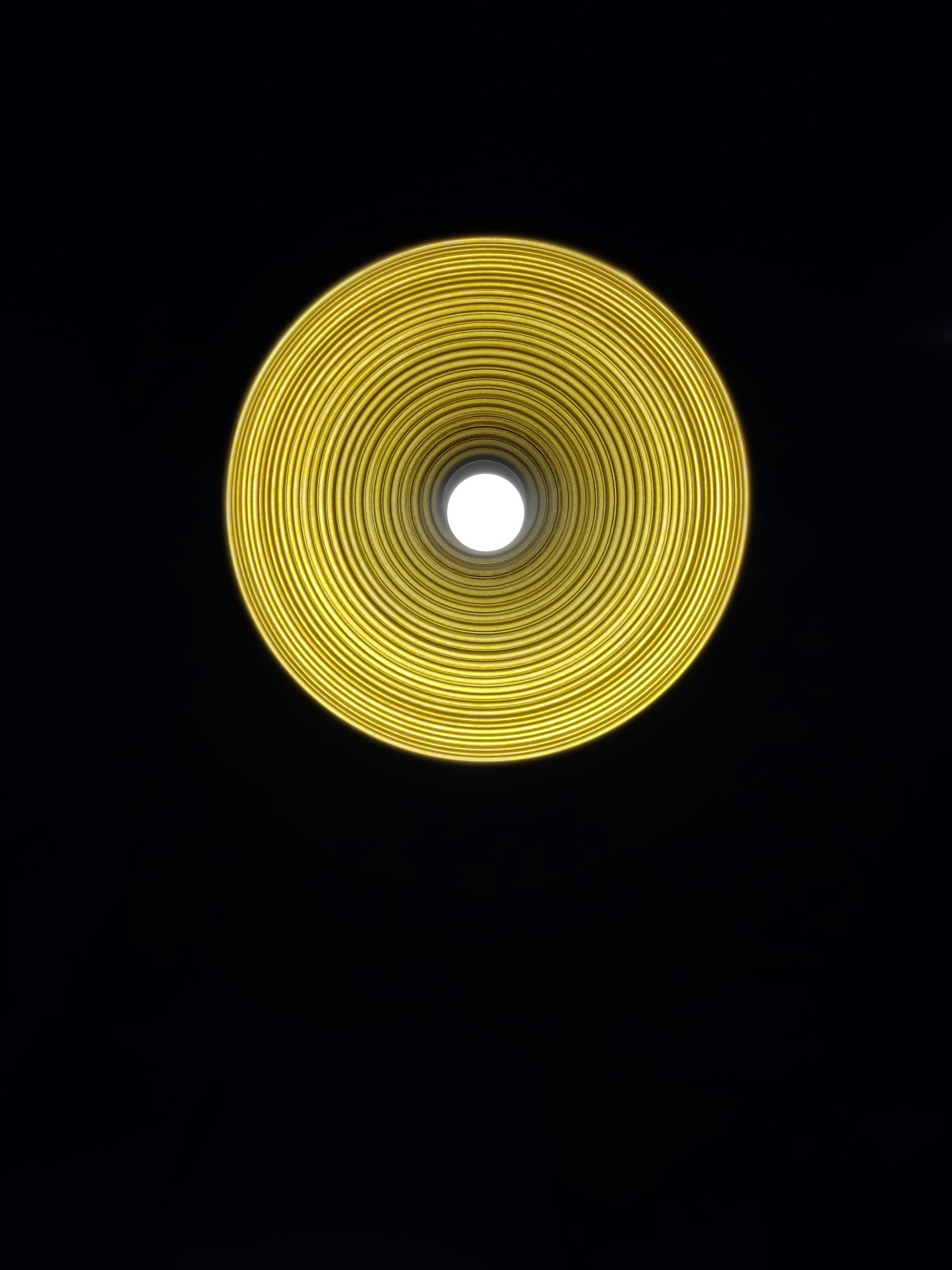 Concentric Halo: The Quiet Brilliance of a Golden Ring