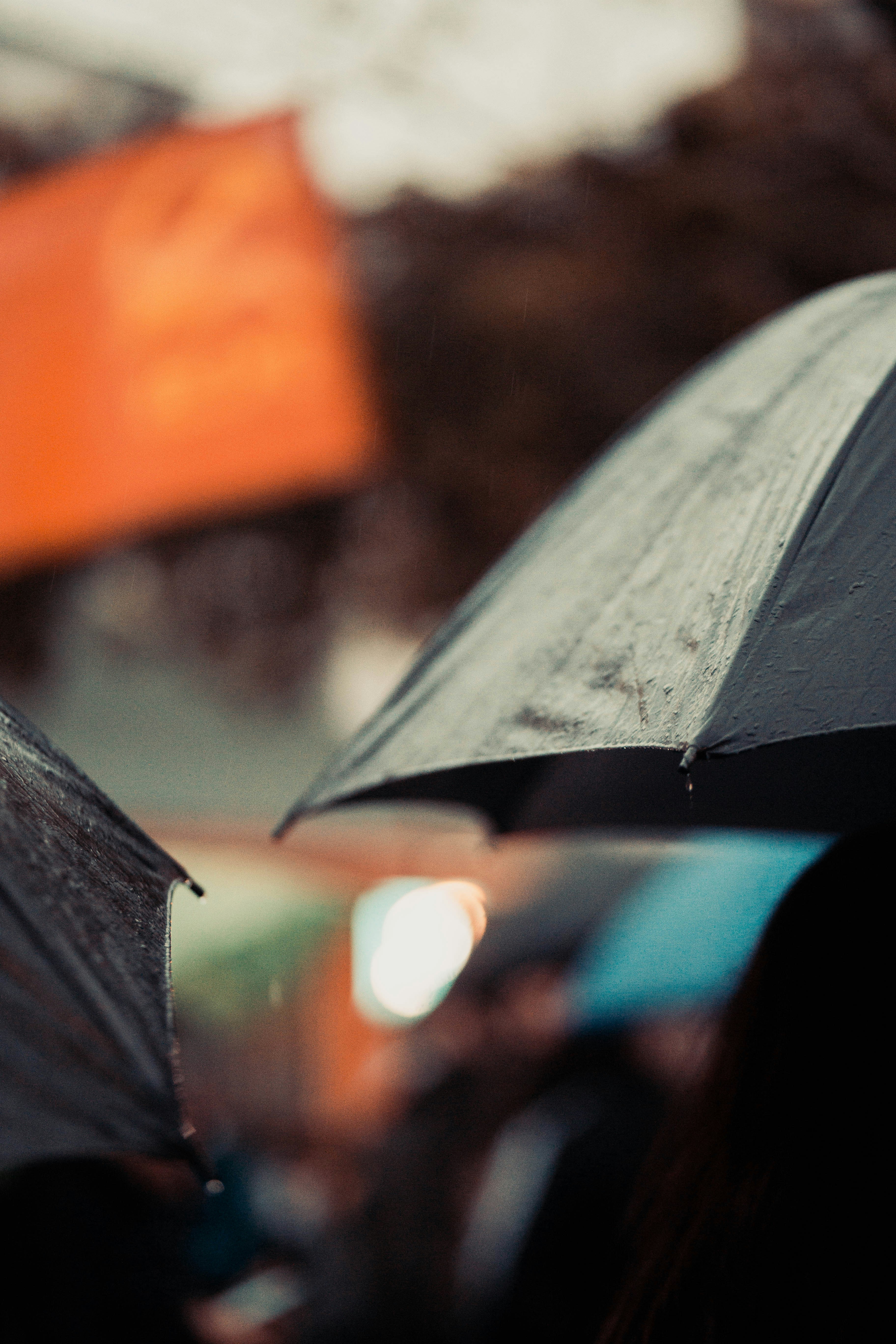 Définition de dais | Dictionnaire français | La langue française