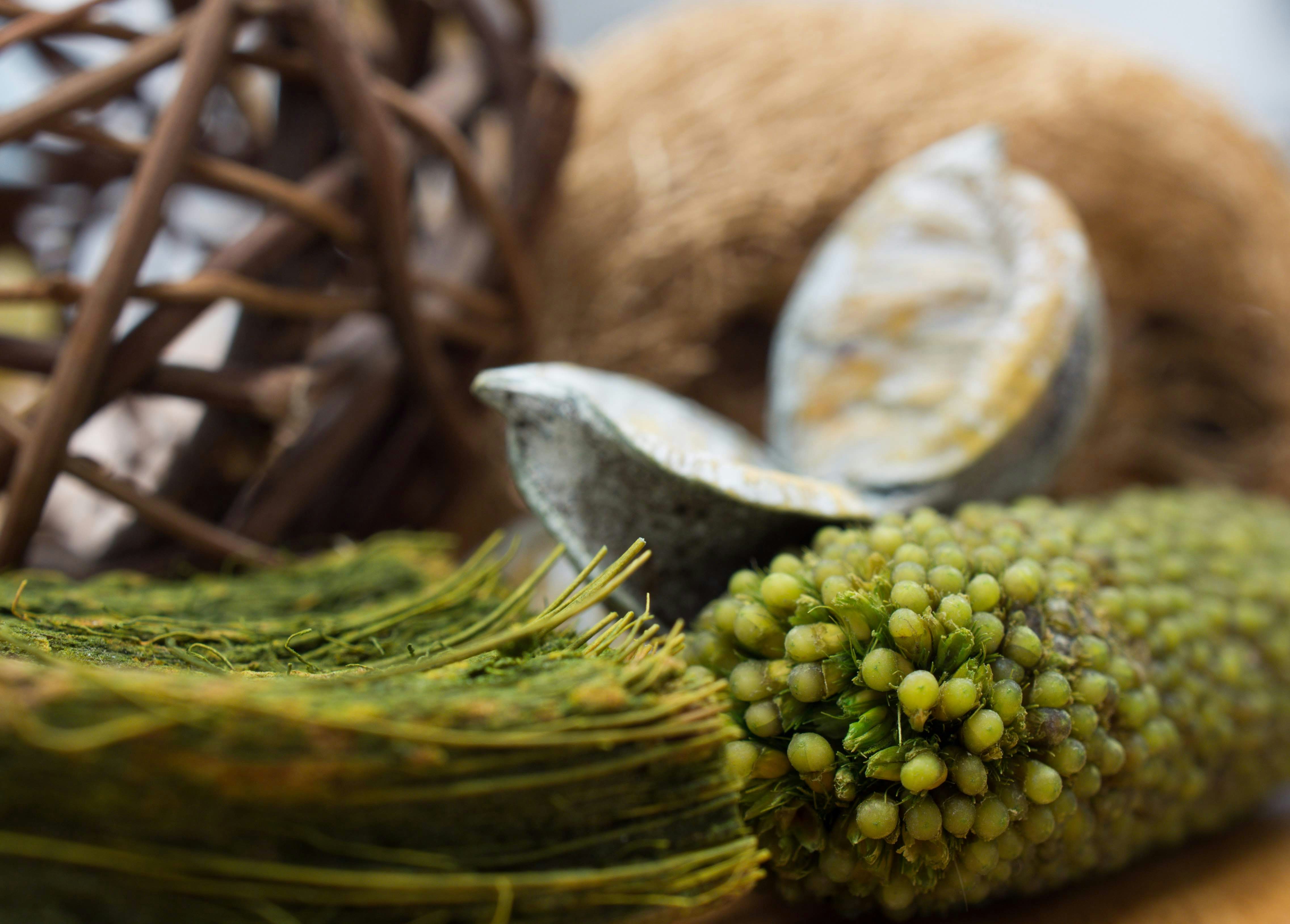 A close-up arrangement of natural elements including green foliage, a textured gourd, and rustic materials, highlighting organic shapes and colors.