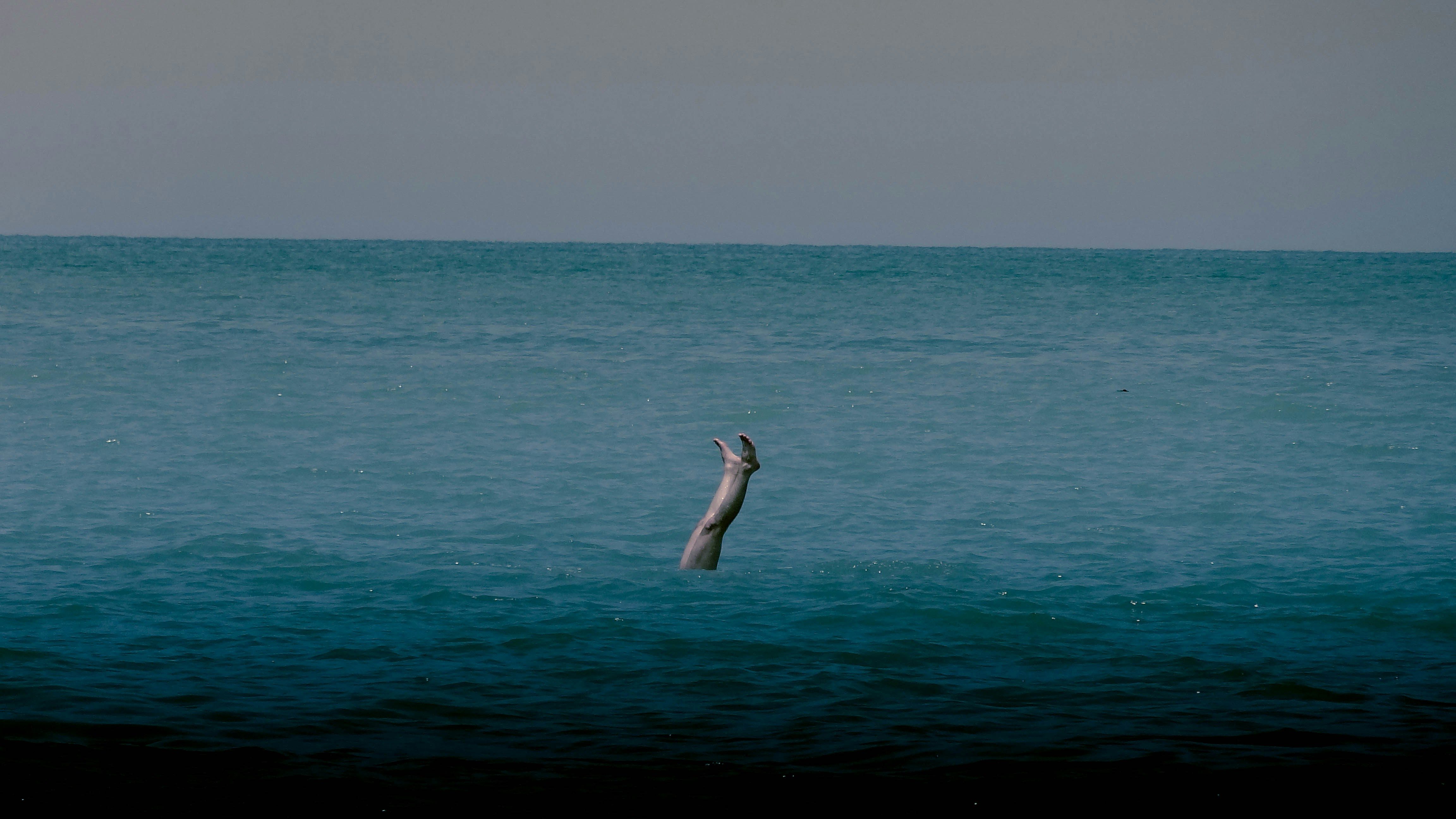 Imágenes de Faryab, Iran | Descarga imágenes gratuitas en Unsplash