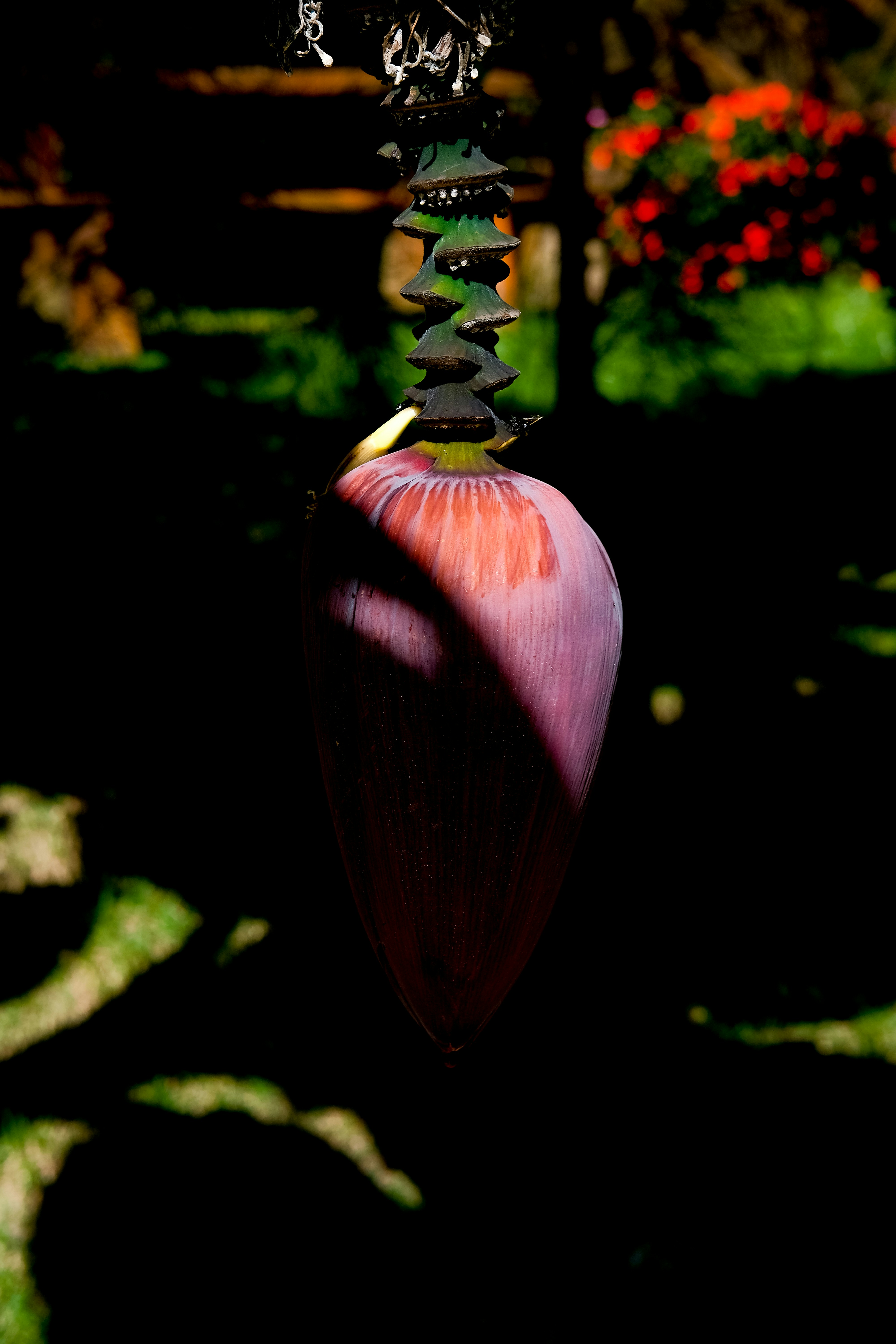 Photo by Matt W Newman with Fujifilm X-T2