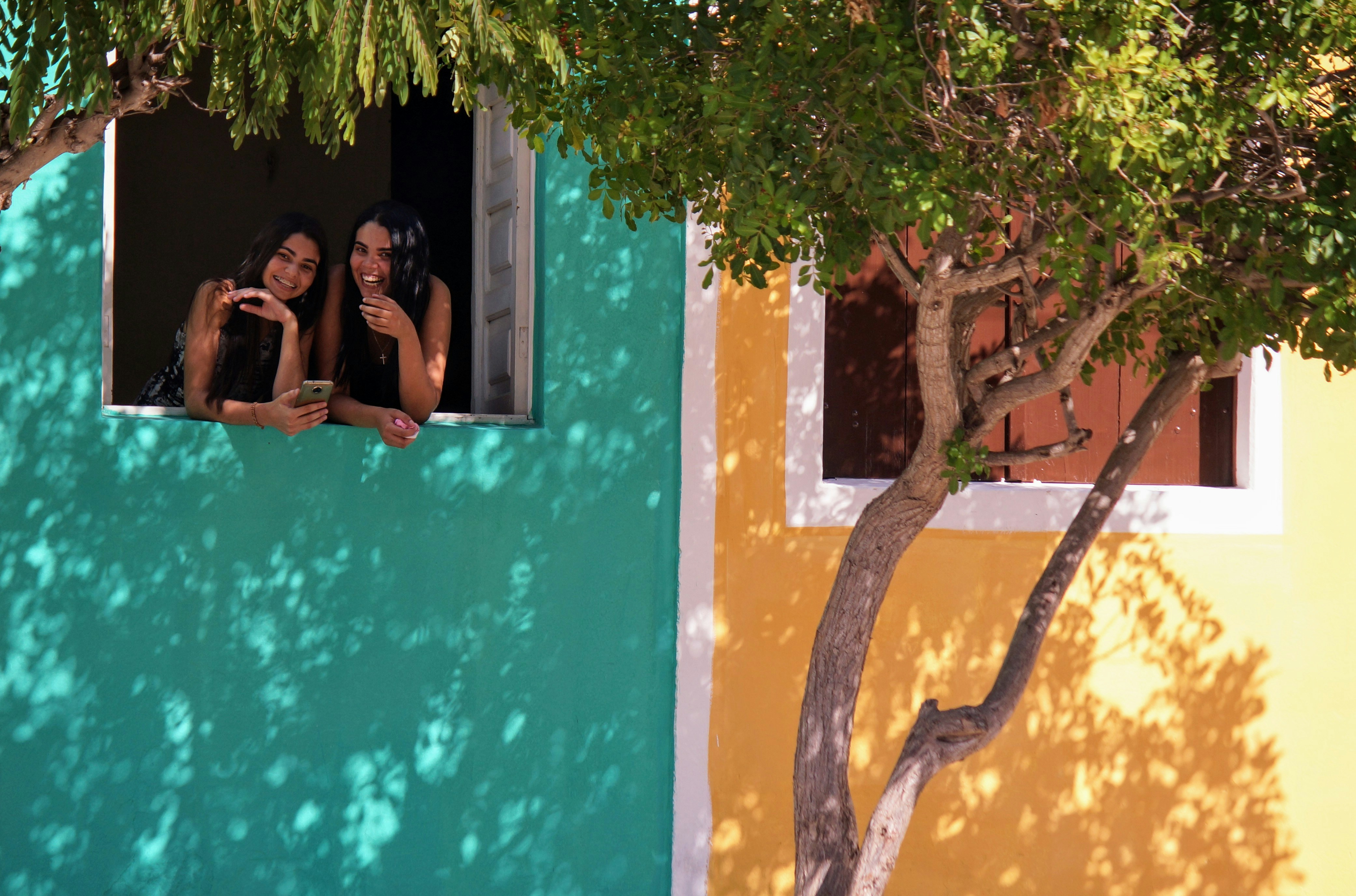 Two women enjoying a sunny day, leaning out of colorful windows framed by lush greenery.